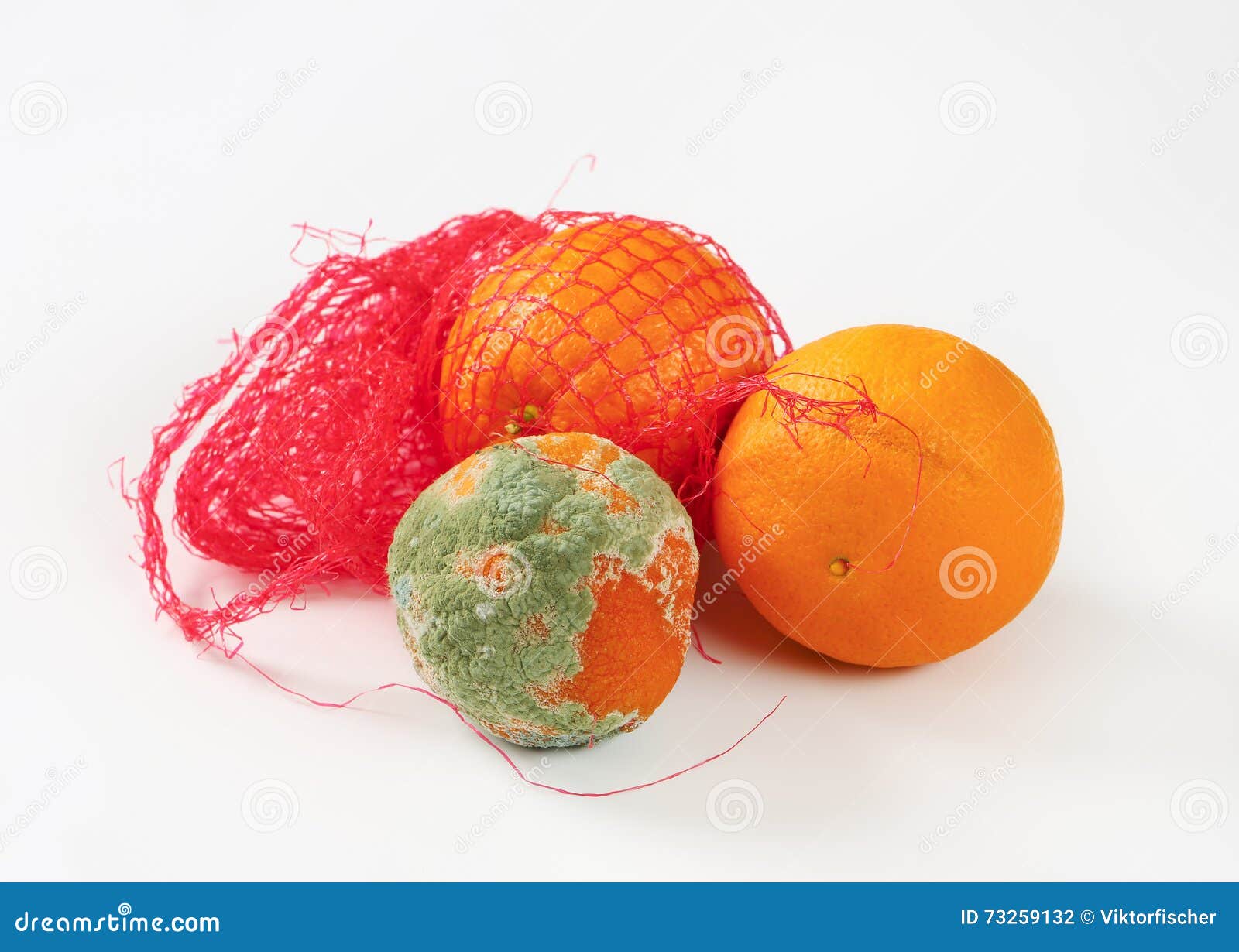 Ripe and rotten oranges stock photo. Image of green, fuzzy - 73259132