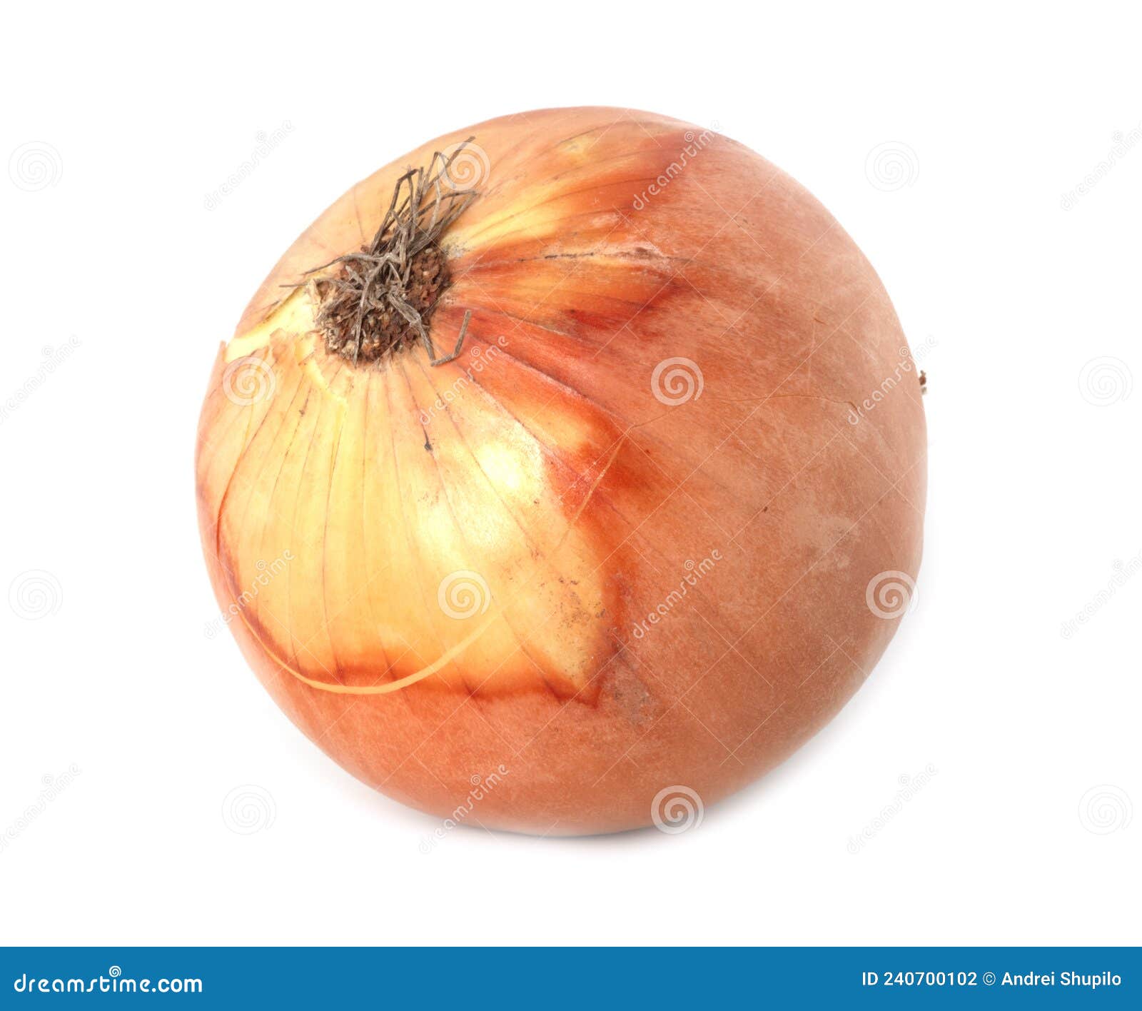 Ripe Round Onion Isolated on White Background. Stock Photo - Image of ...