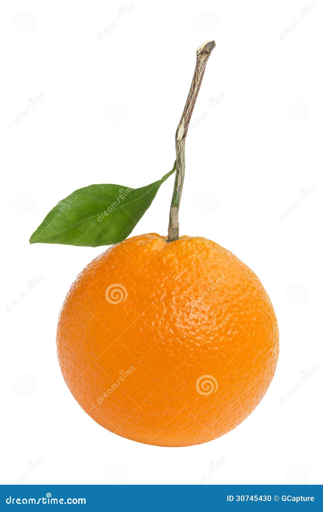 Ripe Round Orange with Stem and Leaf Stock Photo - Image of leaf ...