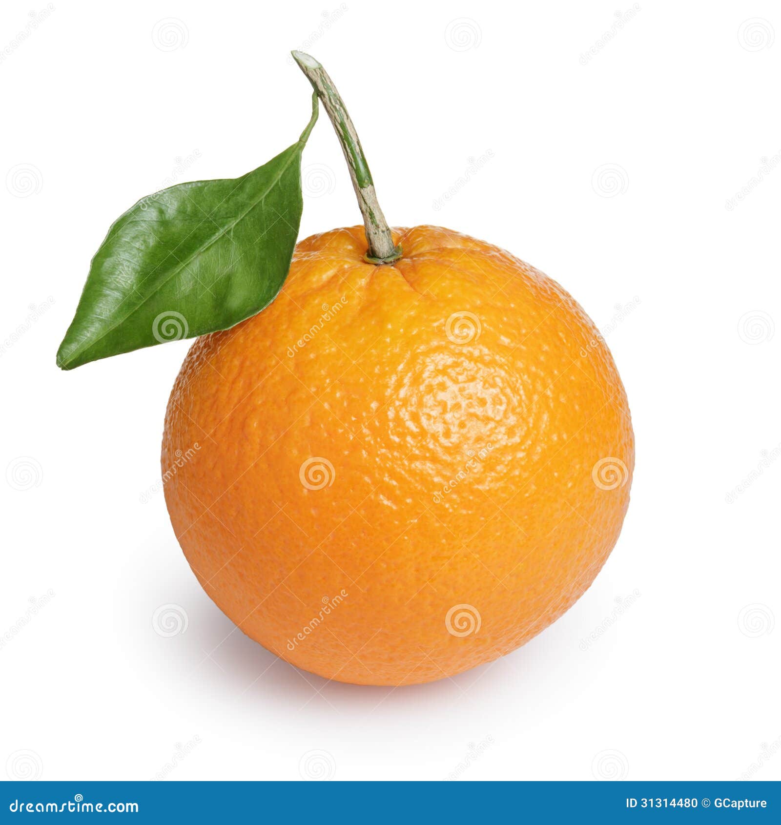 Ripe Round Orange with Stem and Leaf Stock Photo - Image of juicy ...