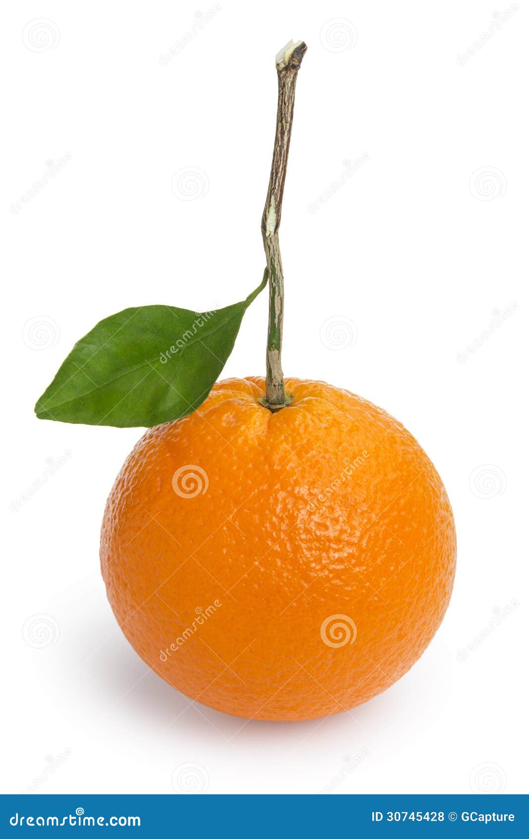 Ripe Round Orange With Stem And Leaf Royalty Free Stock Photos - Image ...