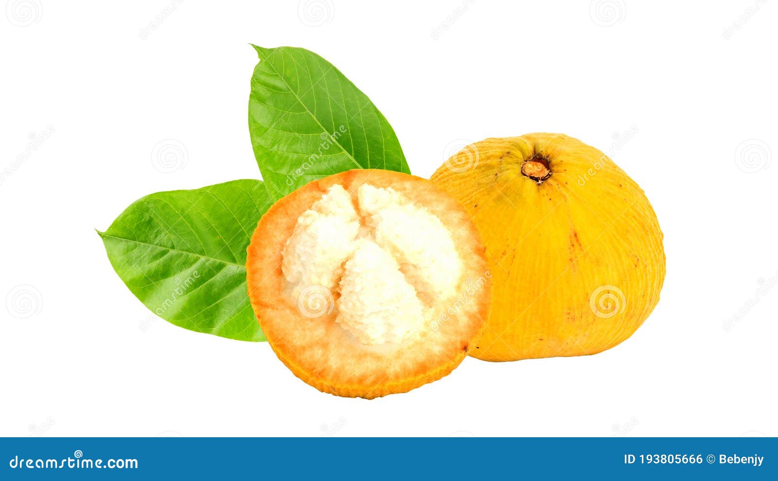 Santol And Seed Tropical Fruit On White Stock Photography ...