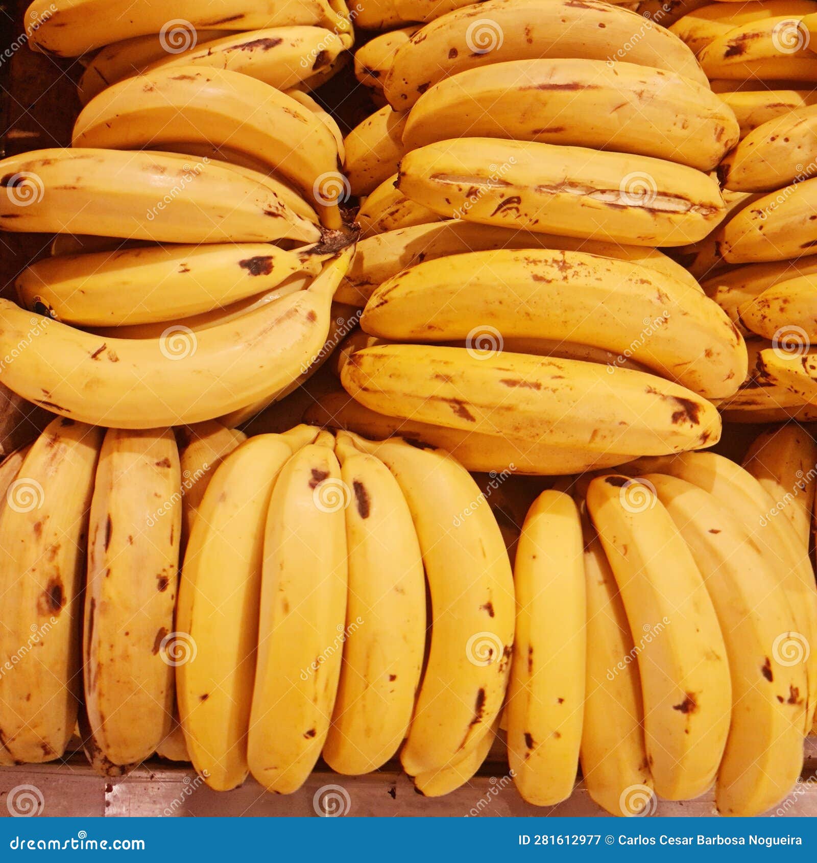 Ripe Silver Banana Ready To Eat, Yellow in Color Stock Image - Image of ...
