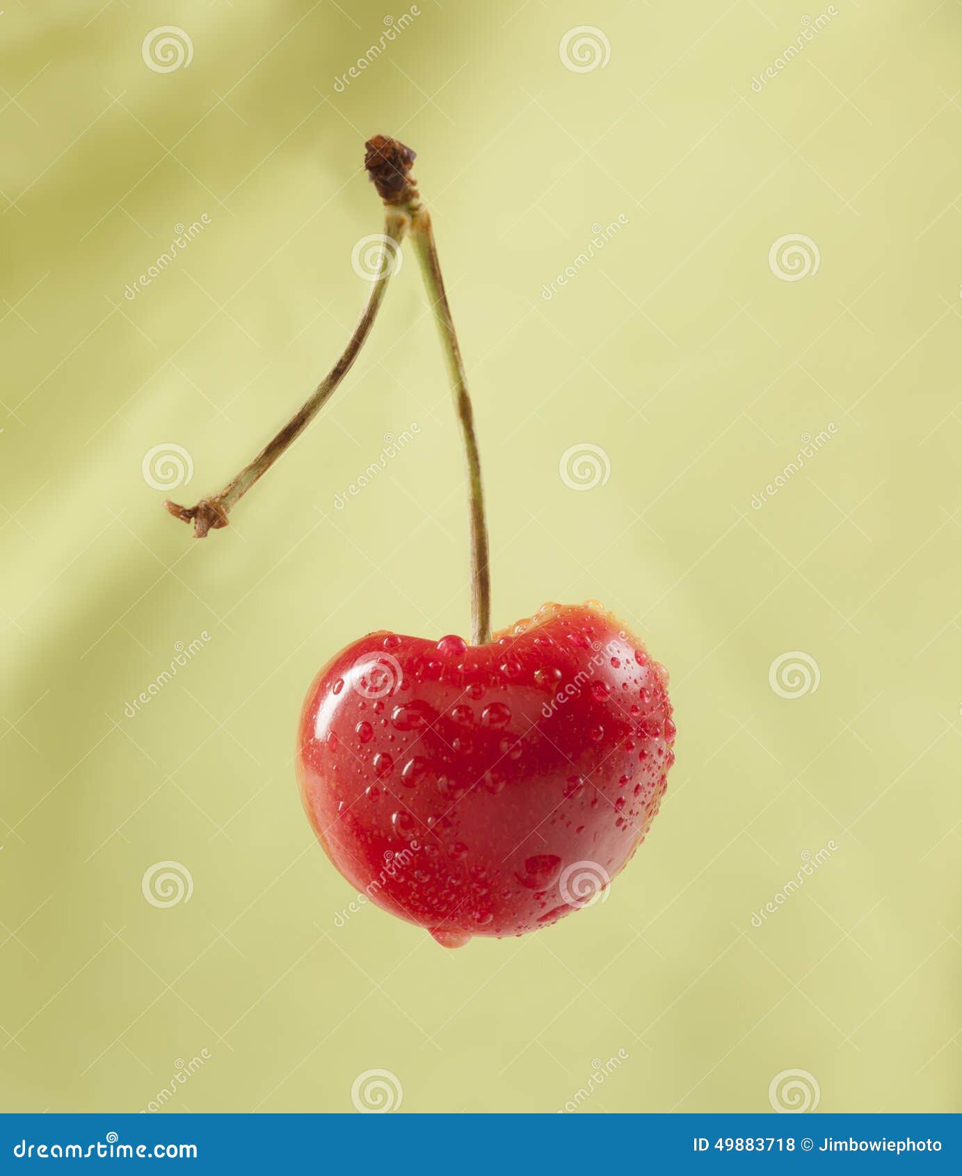 Ripe single cherry stock photo. Image of color, healthy - 49883718