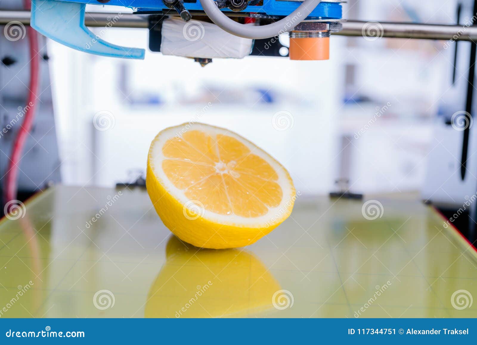 Ripe Slice of Yellow Lemon Citrus Fruit . 3d Printer of the Device ...