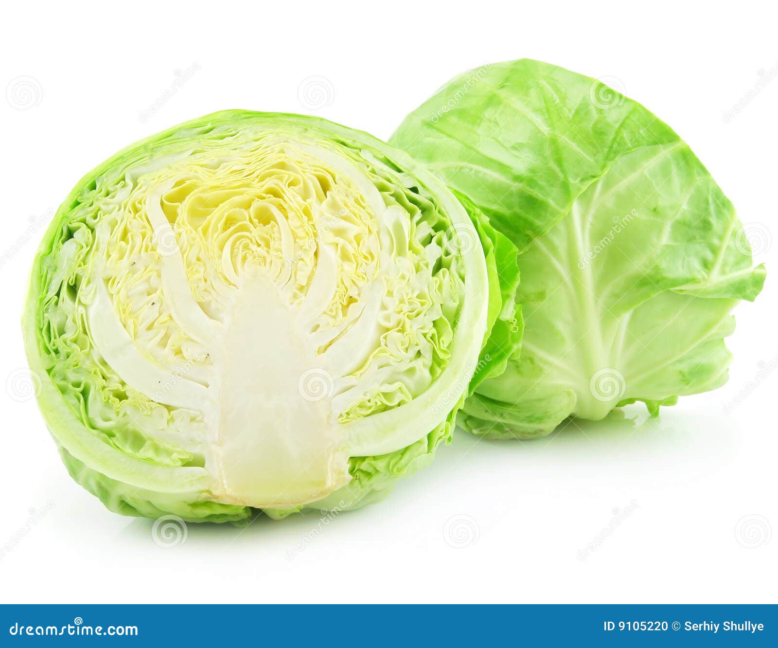 Ripe Sliced Cabbage Isolated on White Stock Photo - Image of color ... Ripe Sliced Cabbage Isolated on White Stock Photo - Image of color ...