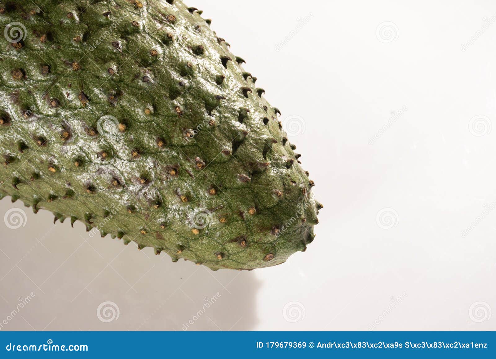 Ripe Soursop Fruit Royalty-Free Stock Photo | CartoonDealer.com #174016347