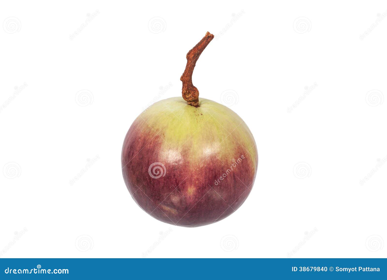 Ripe star apple fruit stock photo. Image of exotic, seasonal - 38679840