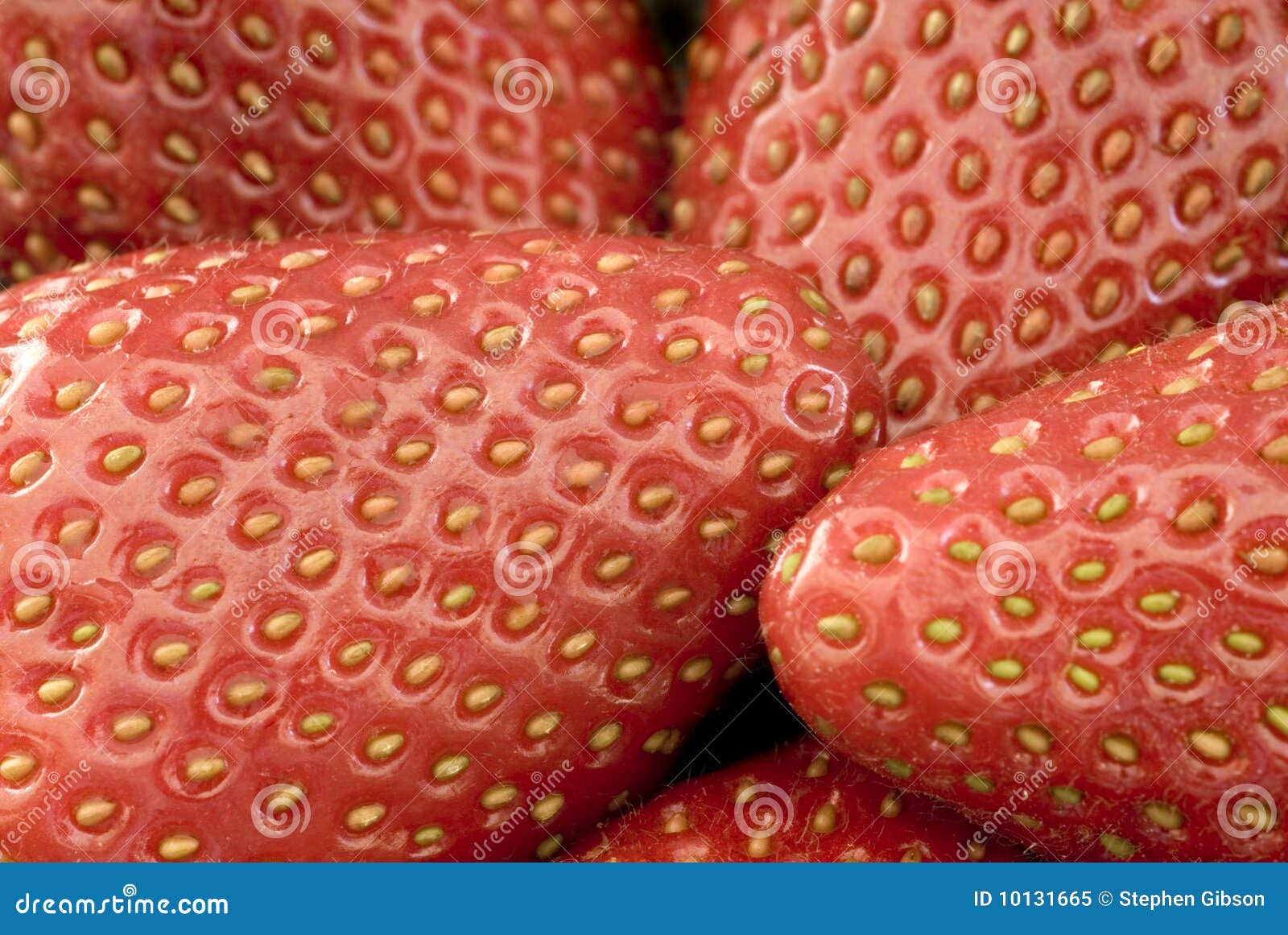Ripe strawberries stock image. Image of strawberry, dessert - 10131665