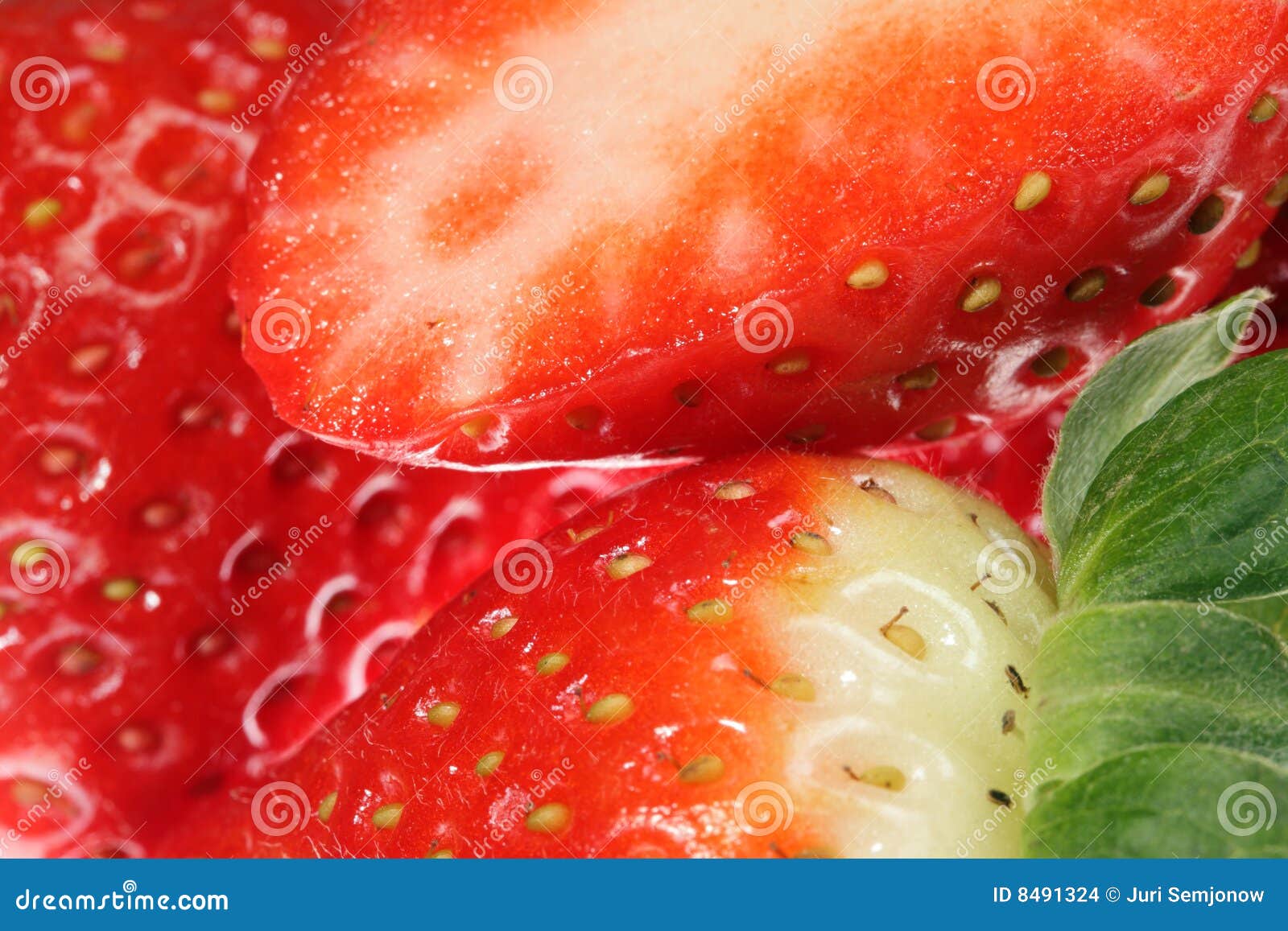 Ripe strawberries. stock photo. Image of crop, food, shiny - 8491324