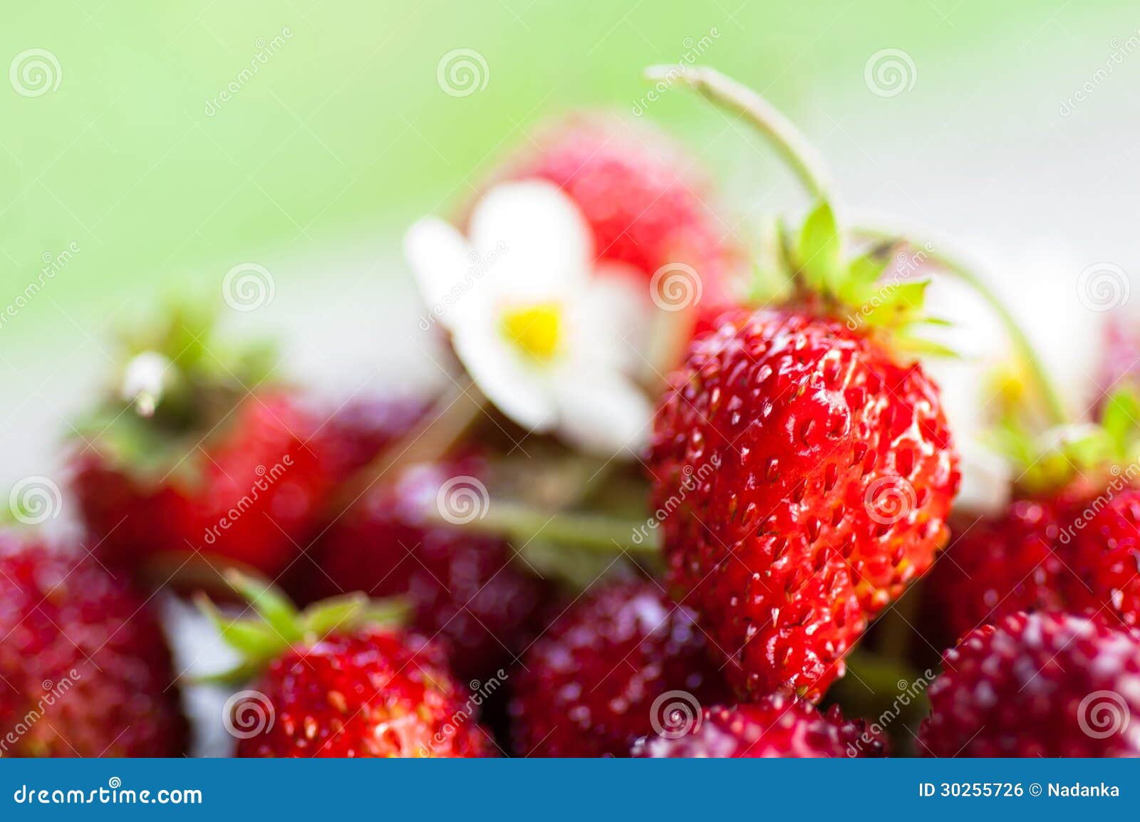Ripe strawberries stock photo. Image of sweet, ingredient - 30255726