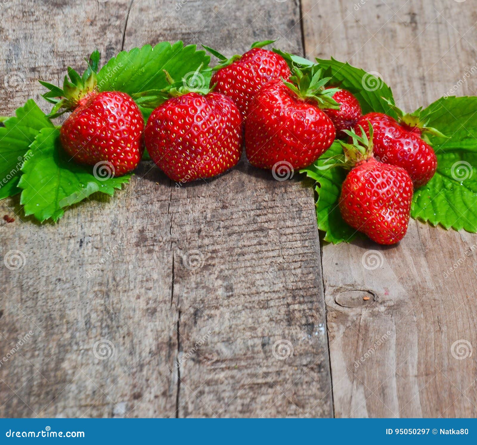 Ripe Strawberries with Leaves on a Tree the View from the Top Stock ...