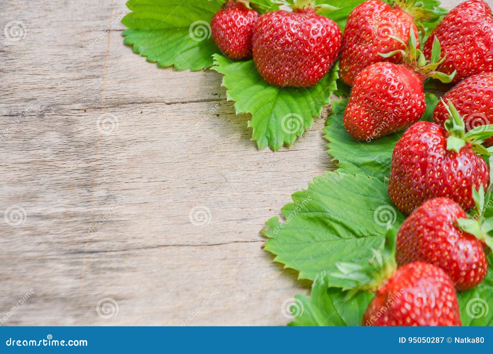 Ripe Strawberries with Leaves on a Tree View from on Top of the ...