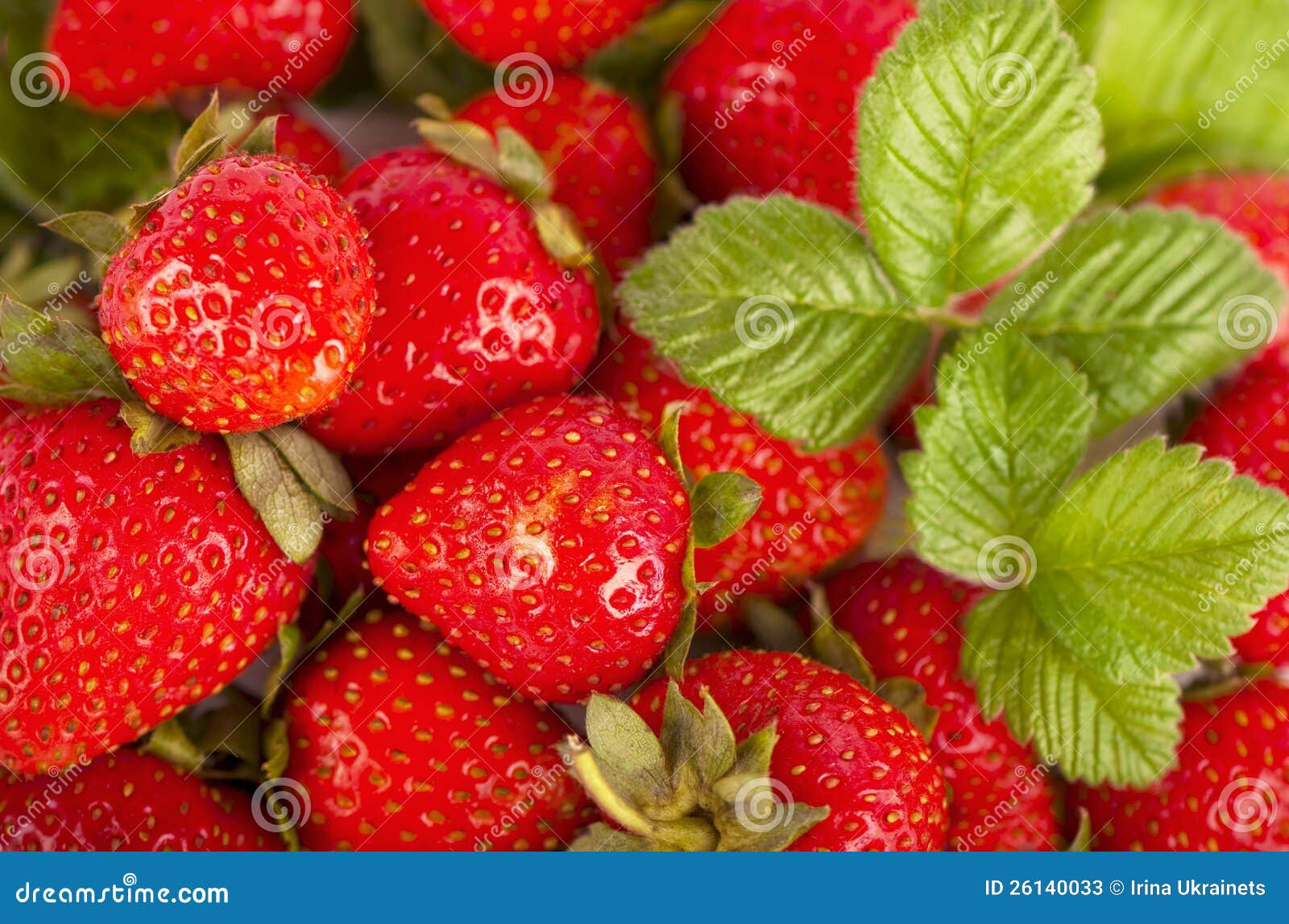 Ripe strawberry stock image. Image of fresh, group, slice - 26140033