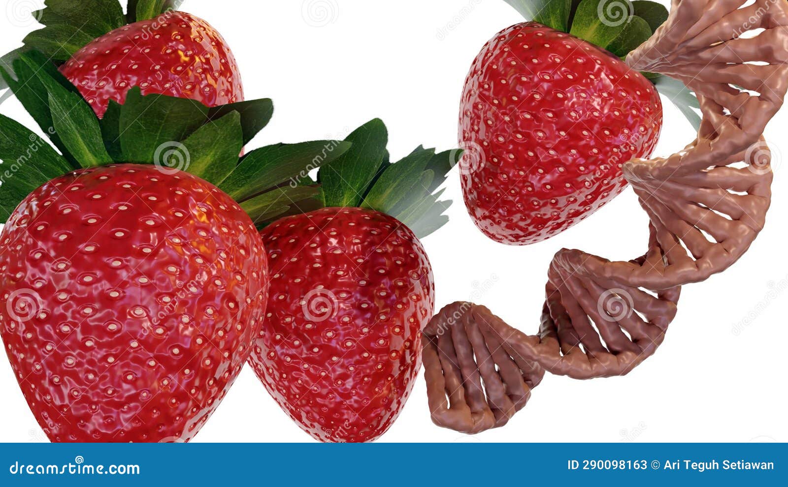 Ripe Strawberry and DNA Helix in the White Background Stock ...