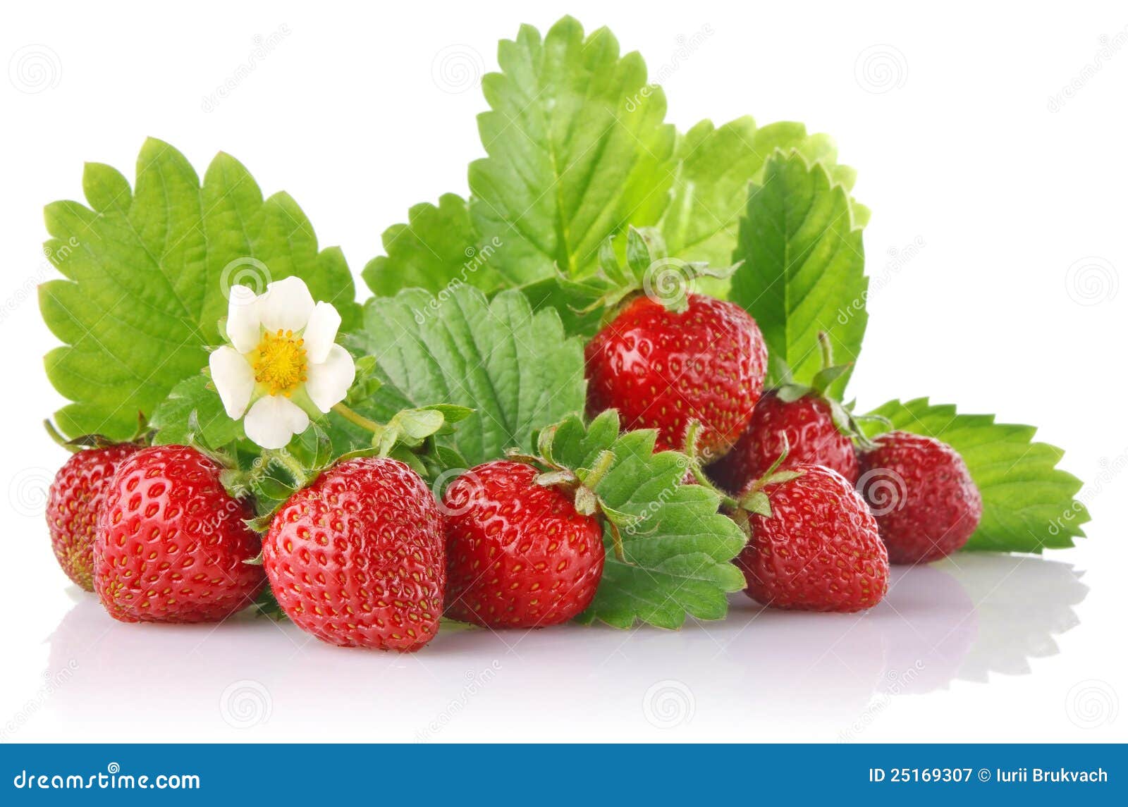Ripe Strawberry Fruits, Flowers, Leaves On White Wood Table Background ...