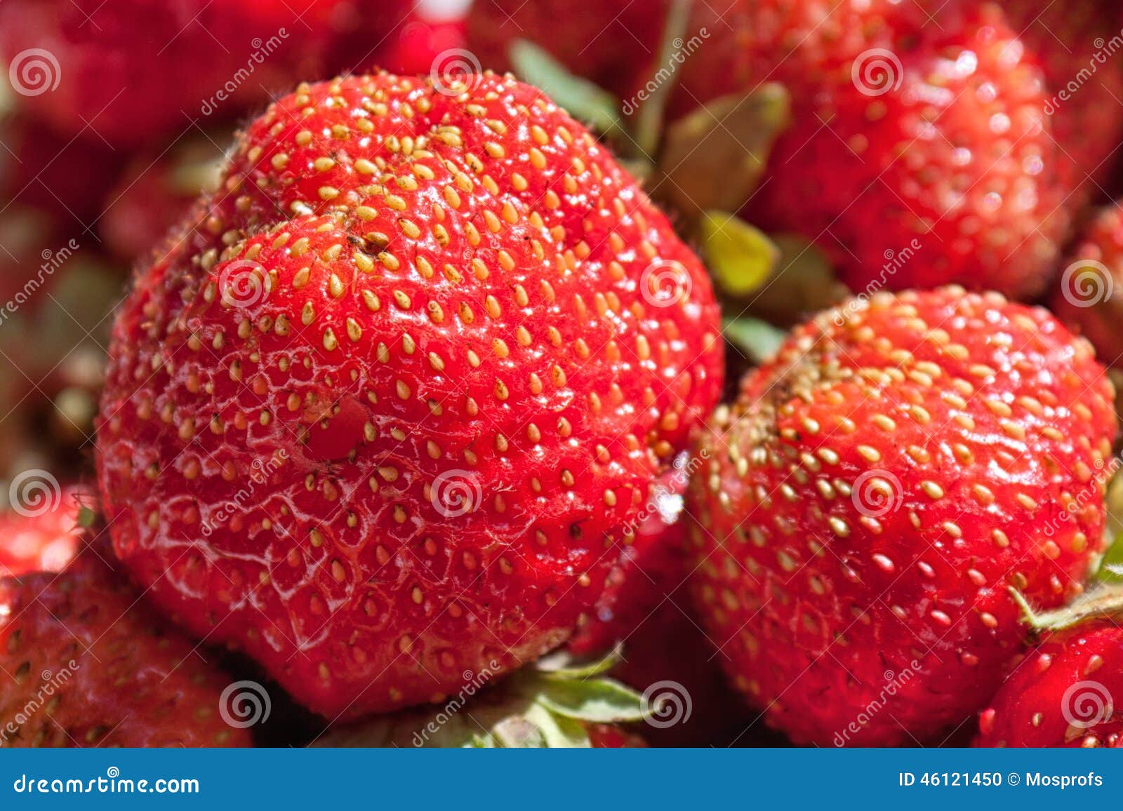 Ripe strawberry stock photo. Image of berry, strawberry - 46121450