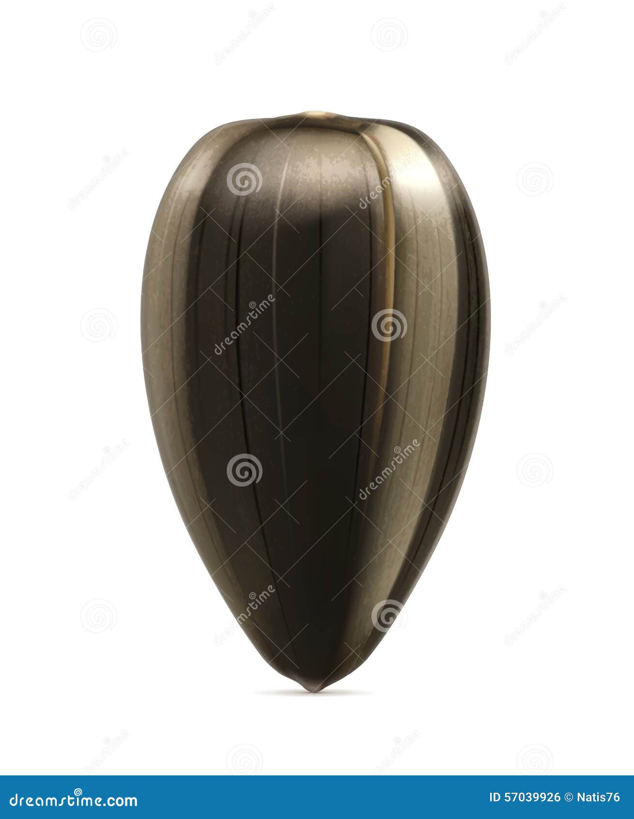 Sunflower Seed And Flower Vector Drawing Set. Hand Drawn Isolated ...