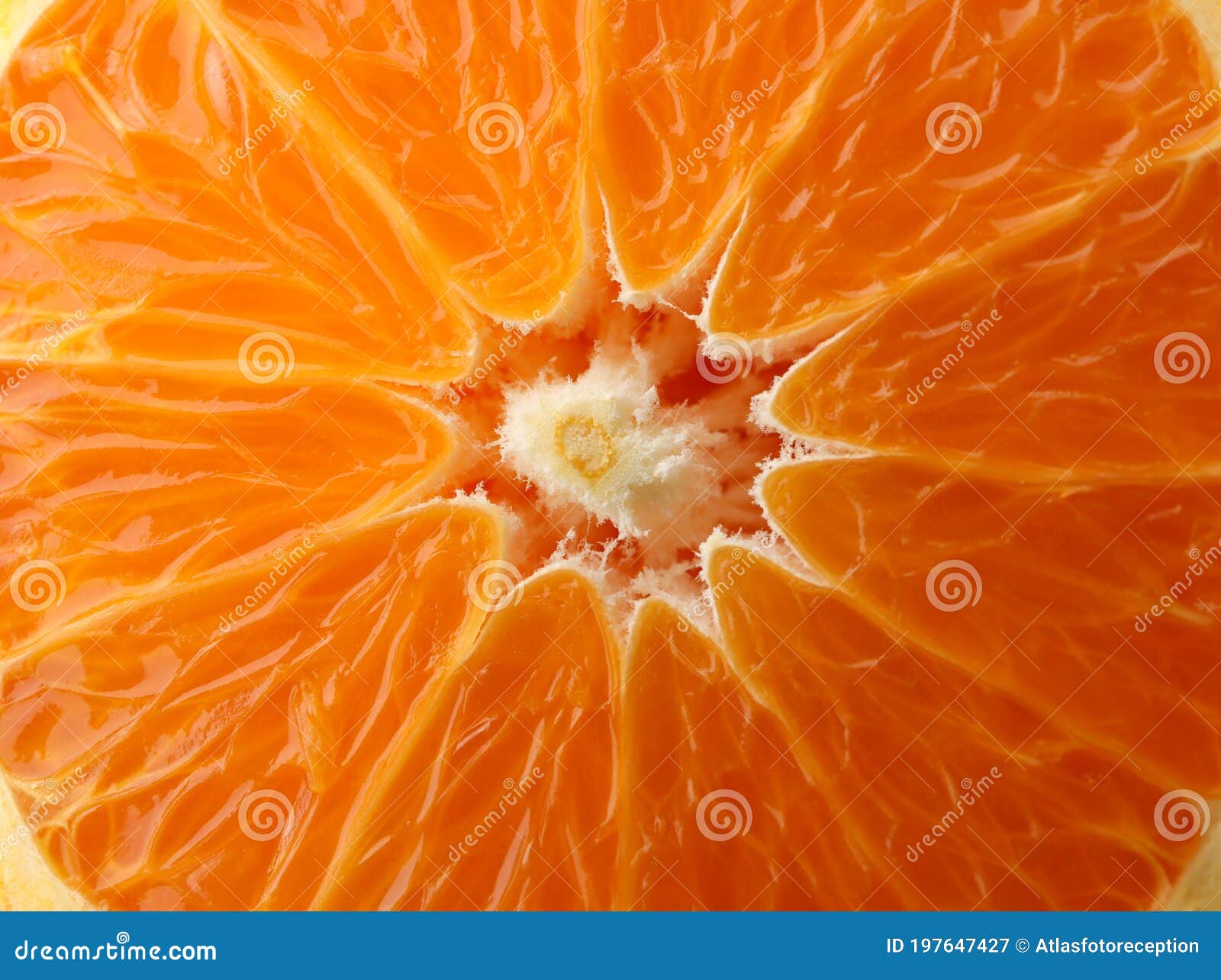 Ripe Sweet Mandarin on Whole Background, Macro Stock Image - Image of ...