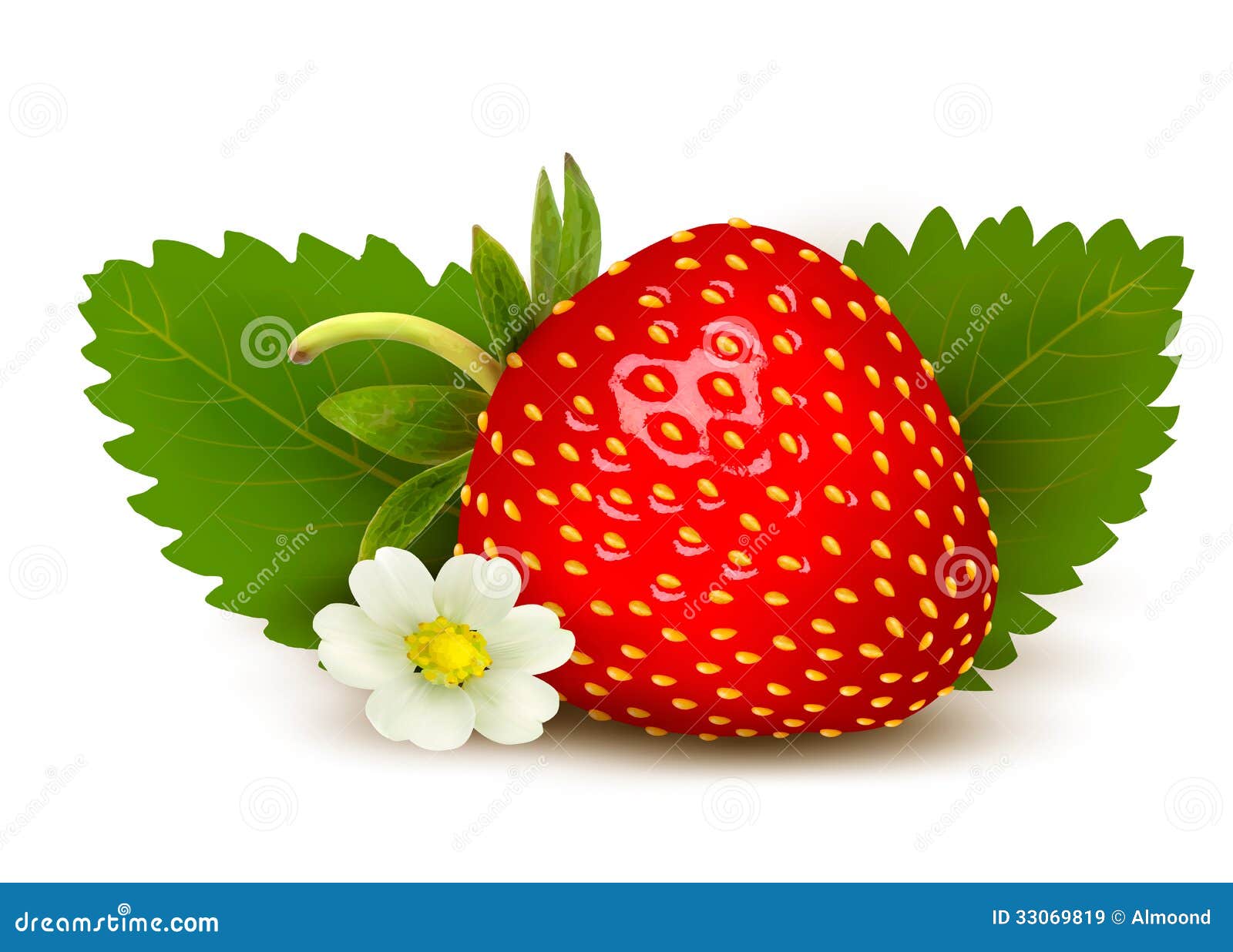 Strawberry & Flower Seamless Pattern. Repeatable Background. Isolated ...