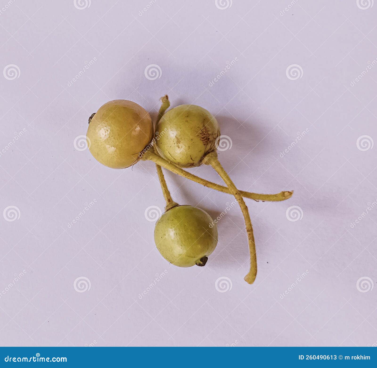 Ripe Talok Fruit, Very Sweet Taste Stock Image - Image of ripe, yellow ...