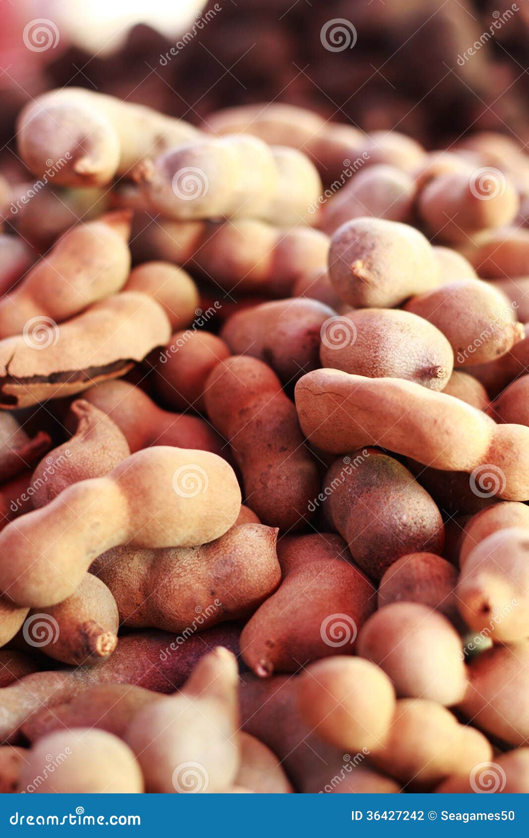 Ripe Tamarind Fruit in Market Stock Photo - Image of summer, bright ...