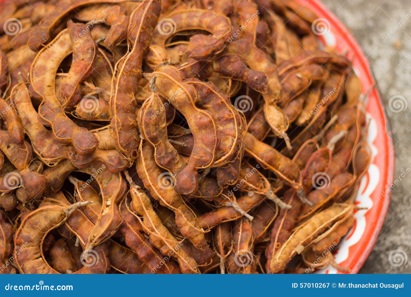 Ripe Tamarind stock image. Image of tree, thai, tamarind - 57010267