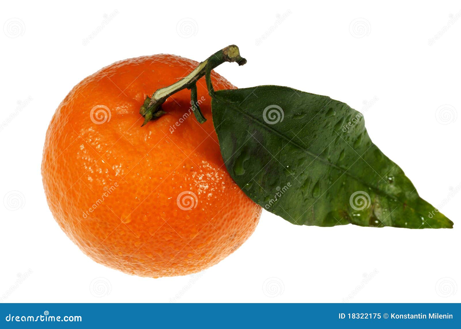Ripe tangerine stock image. Image of macro, freshness - 18322175
