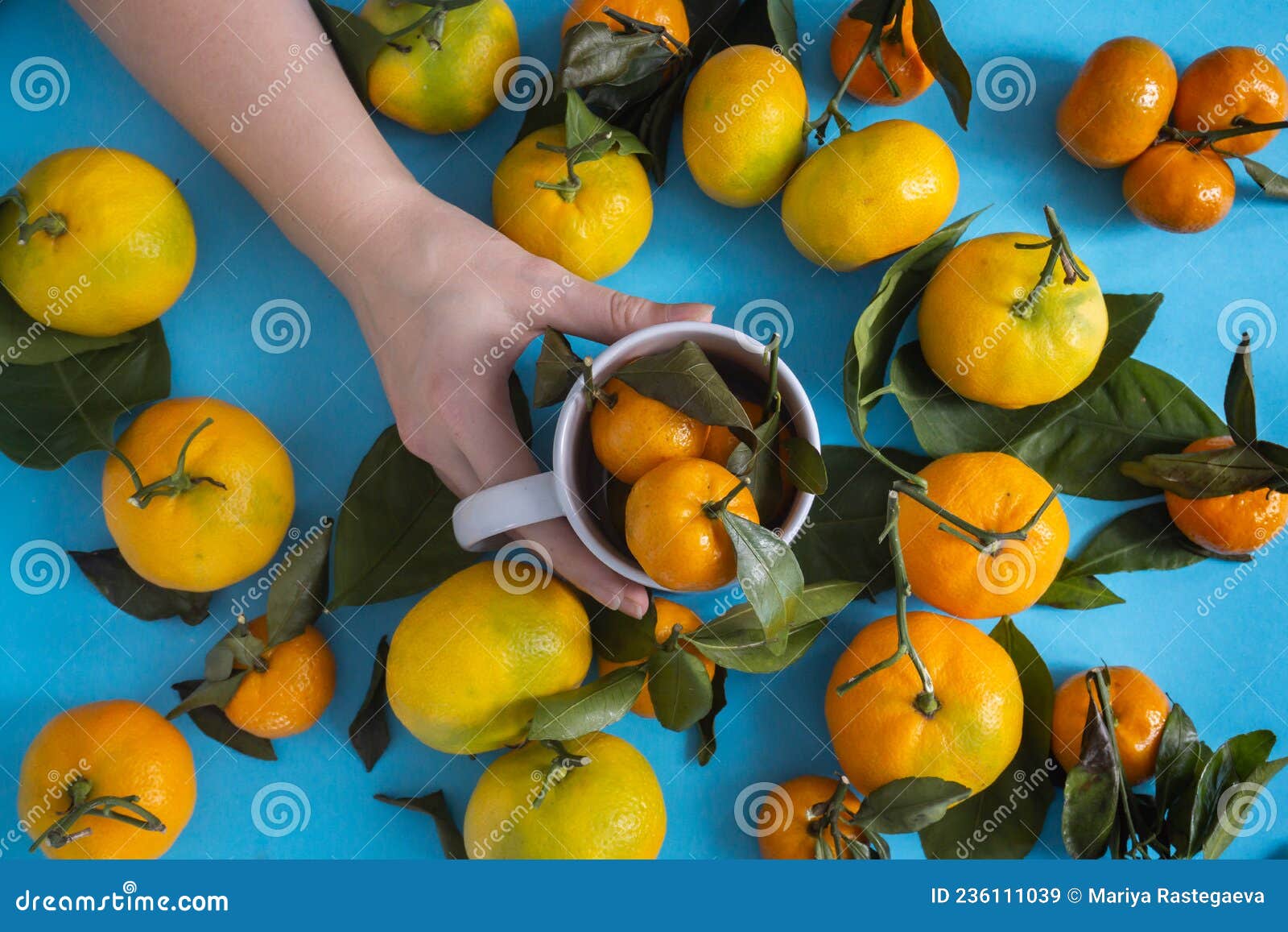 Ripe Tangerines of Different Sizes with Leaves on a Blue Background ...