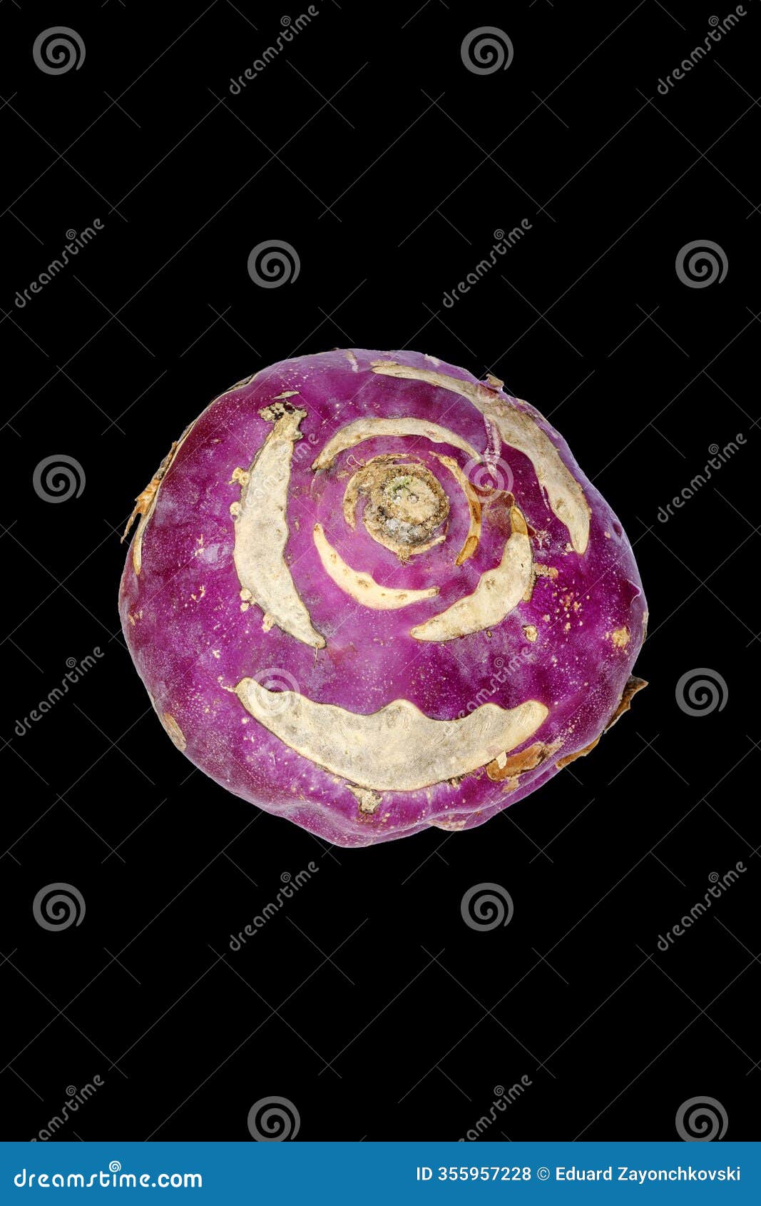 The Ripe Taproot of Purple Kohlrabi Cabbage Stock Photo - Image of ...