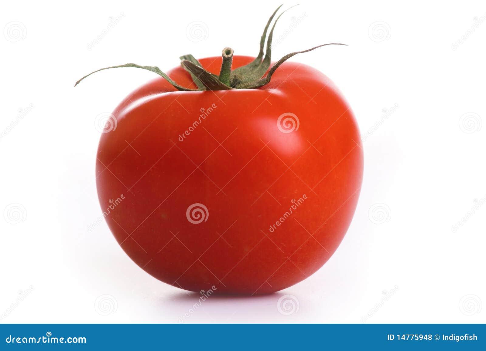 Ripe tomato stock photo. Image of tomato, healthy, natural - 14775948