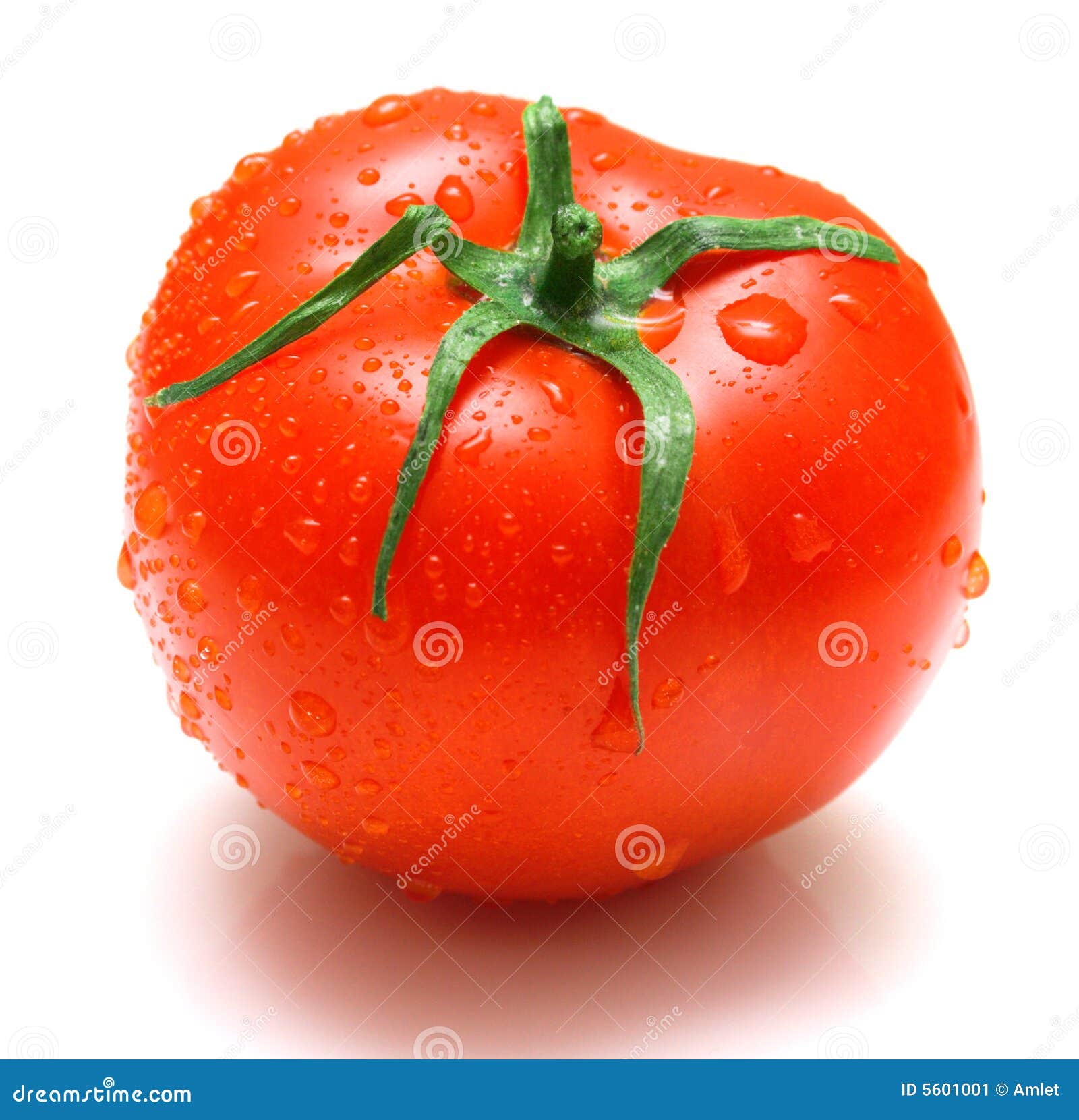 Ripe tomato stock image. Image of vegetative, vegetable - 5601001