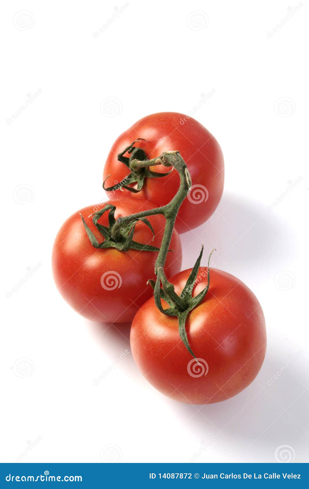 Ripe tomatoes stock photo. Image of tomatoes, food, ripe - 14087872