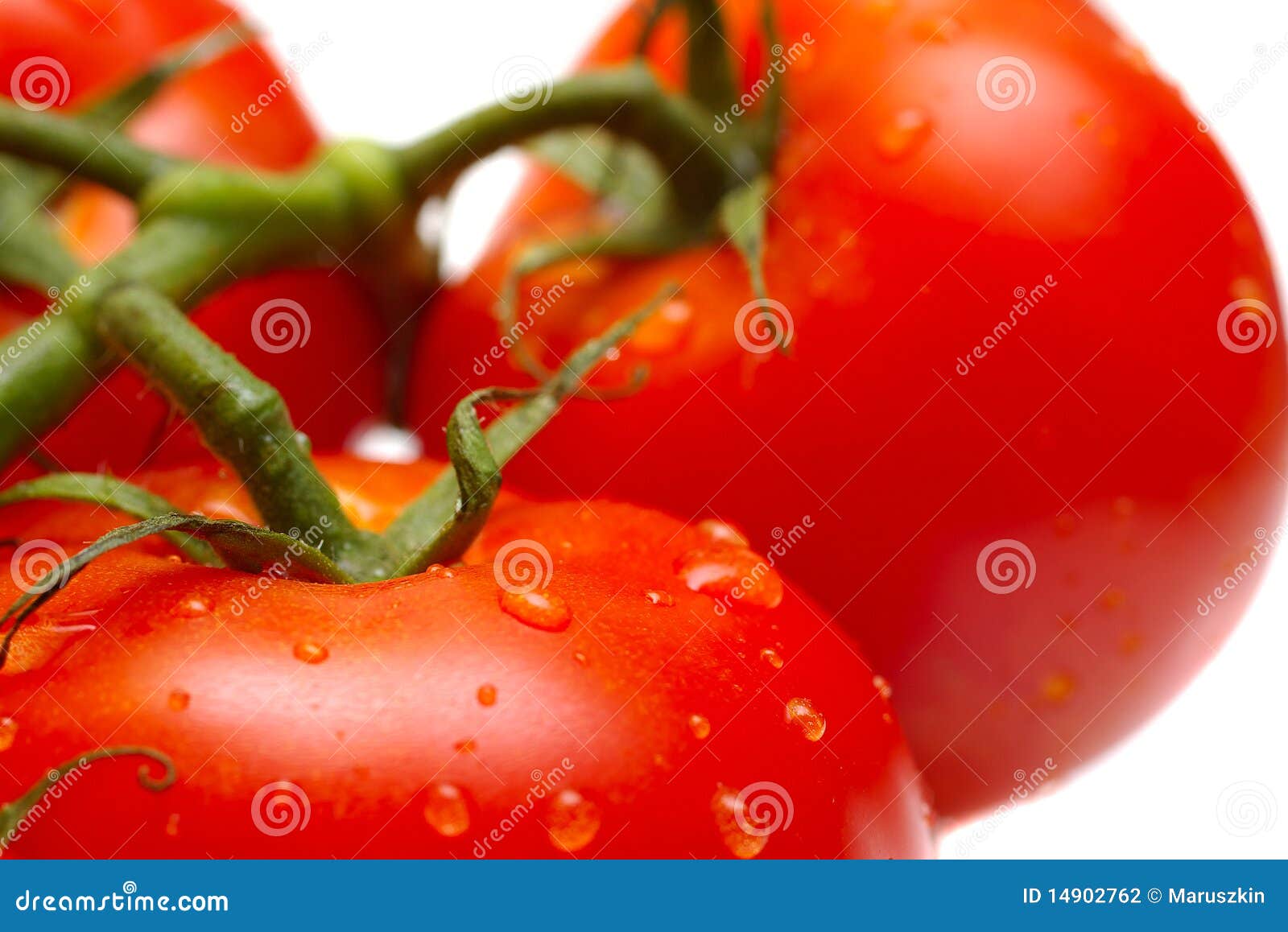 Ripe tomatoes stock photo. Image of vegetable, food, organic - 14902762