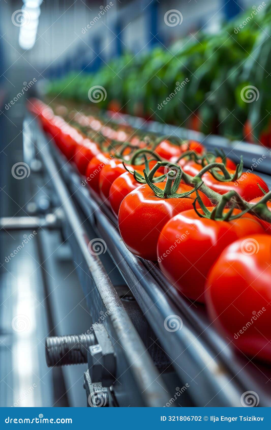 Efficient Sorting Process In A Recycle Factory With Conveyor Belts And ...