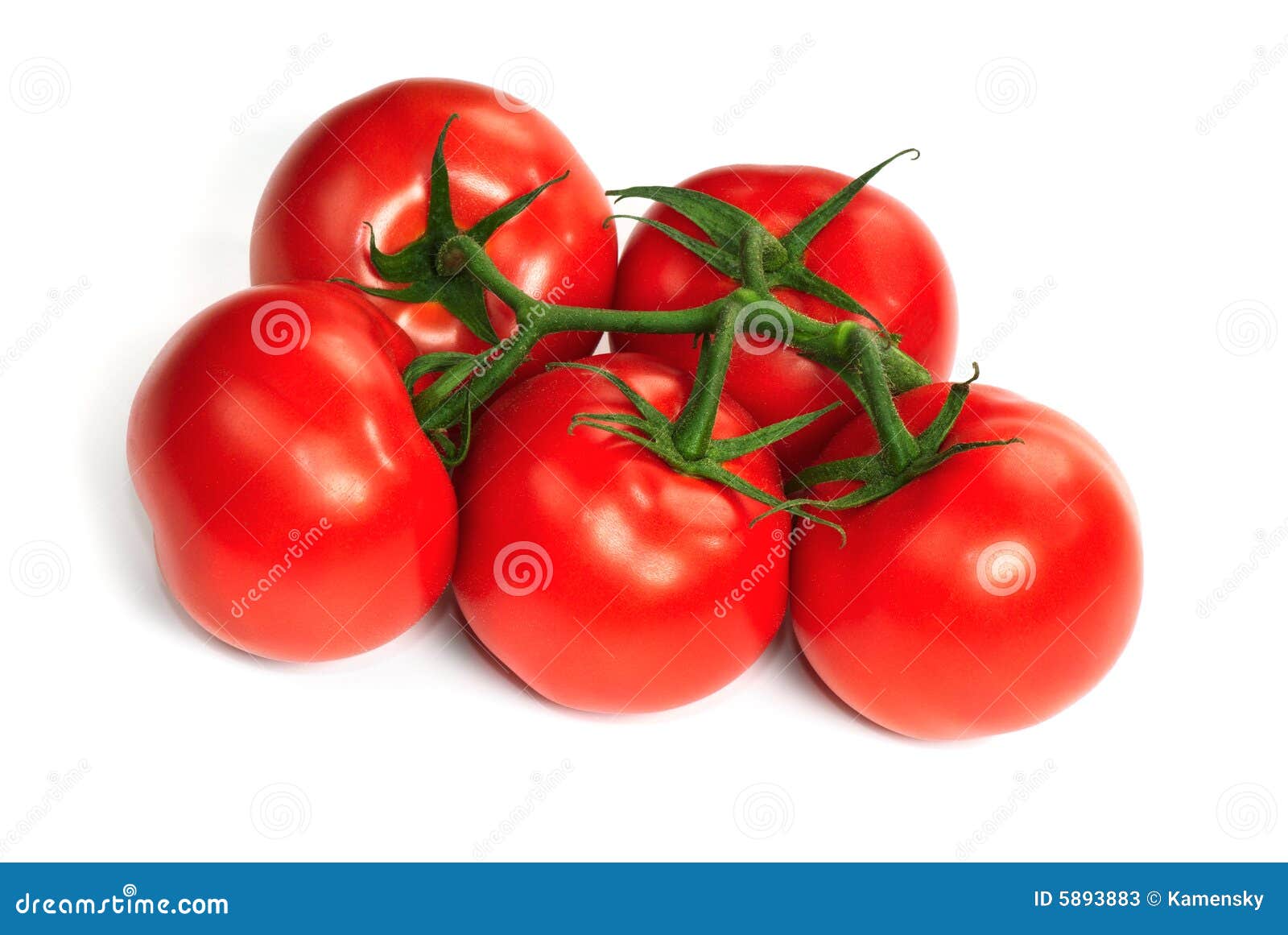Ripe tomatoes on vine stock image. Image of details, white - 5893883