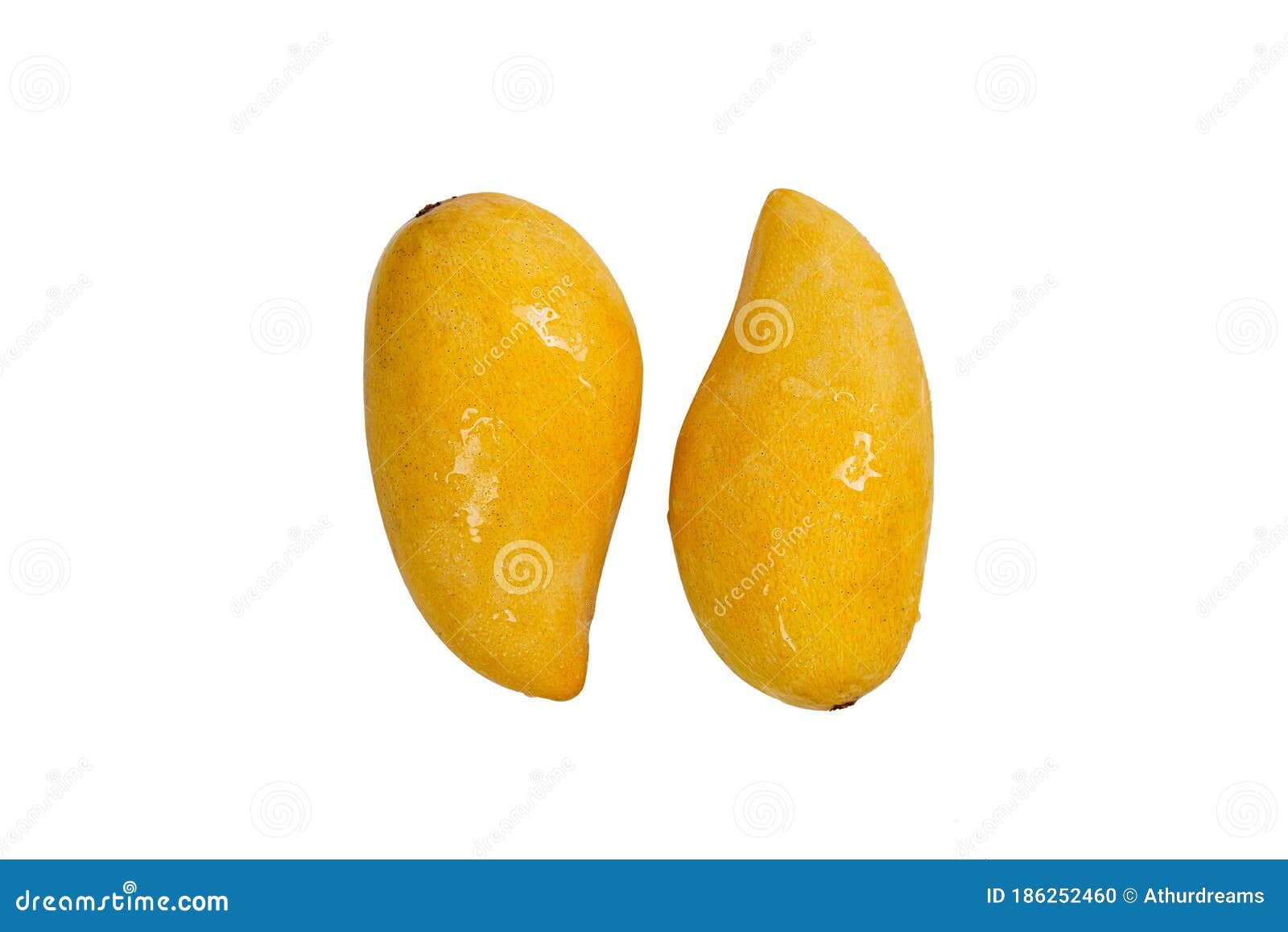 Two Ripe Mangos on Isolated White Background. Healthy and Diet Concept ...