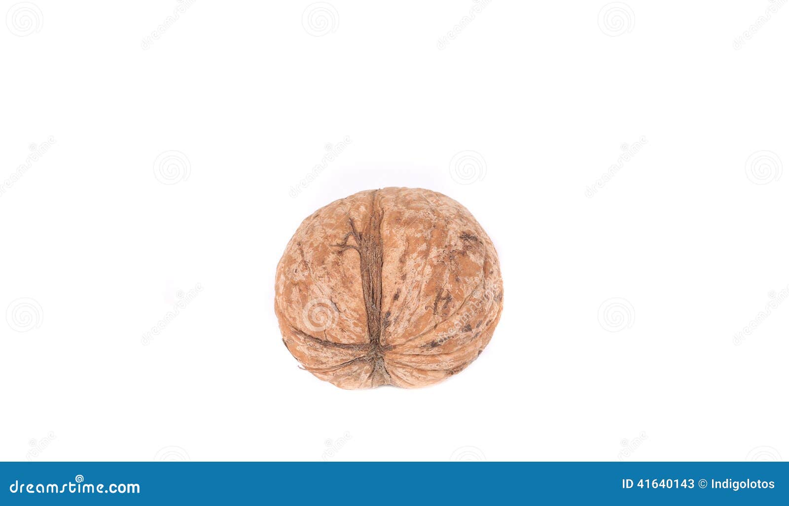 Ripe unshelled walnut. stock image. Image of shell, closeup - 41640143