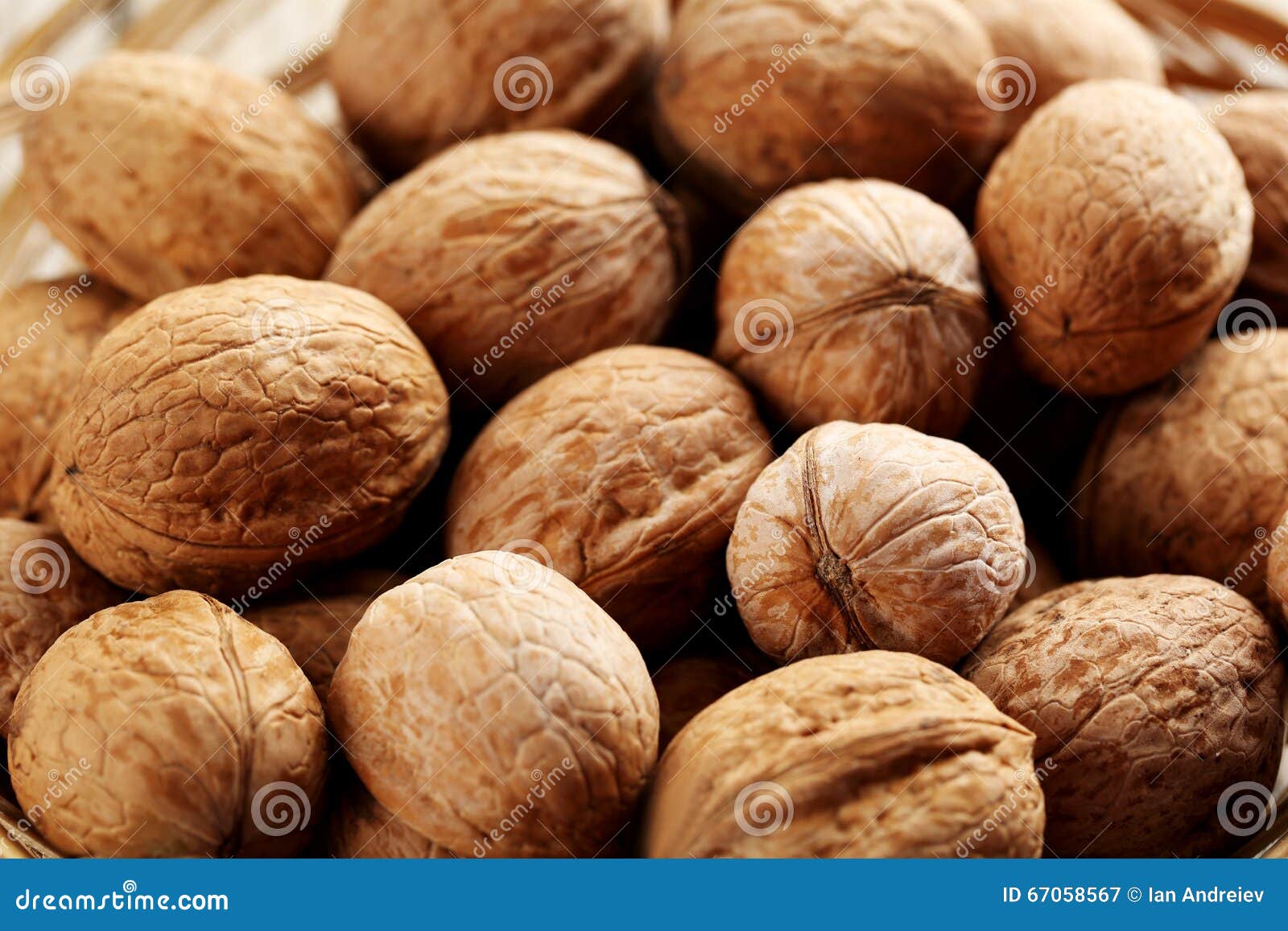 Ripe walnut stock image. Image of healthy, fresh, background - 67058567