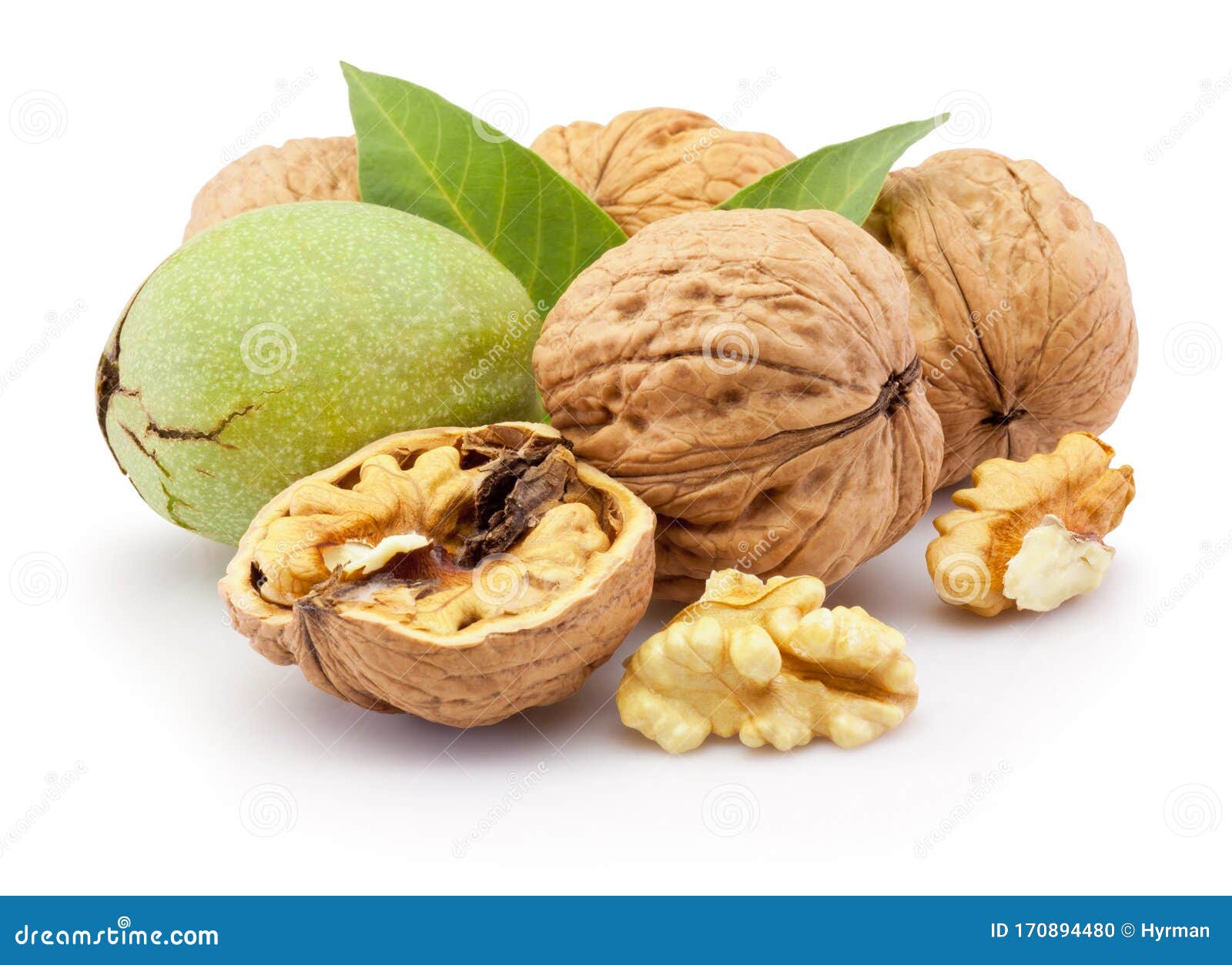 Ripe Walnut and Leaves Isolated on White Background Stock Photo - Image ...