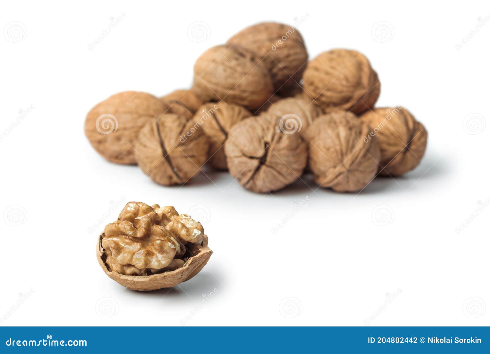 Ripe walnuts stock photo. Image of chestnut, food, isolated - 204802442
