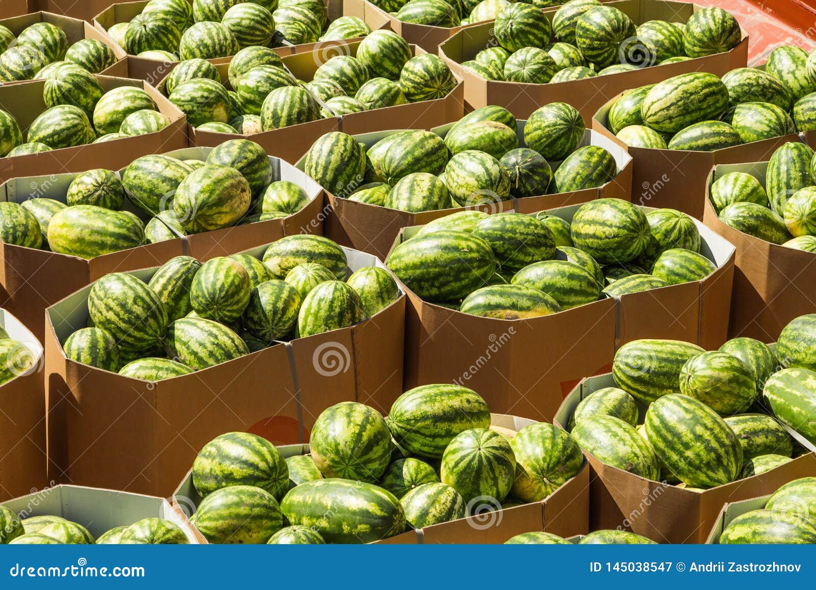 Ripe Watermelons Packed in Cardboard Boxes for Delivery To the Store ...