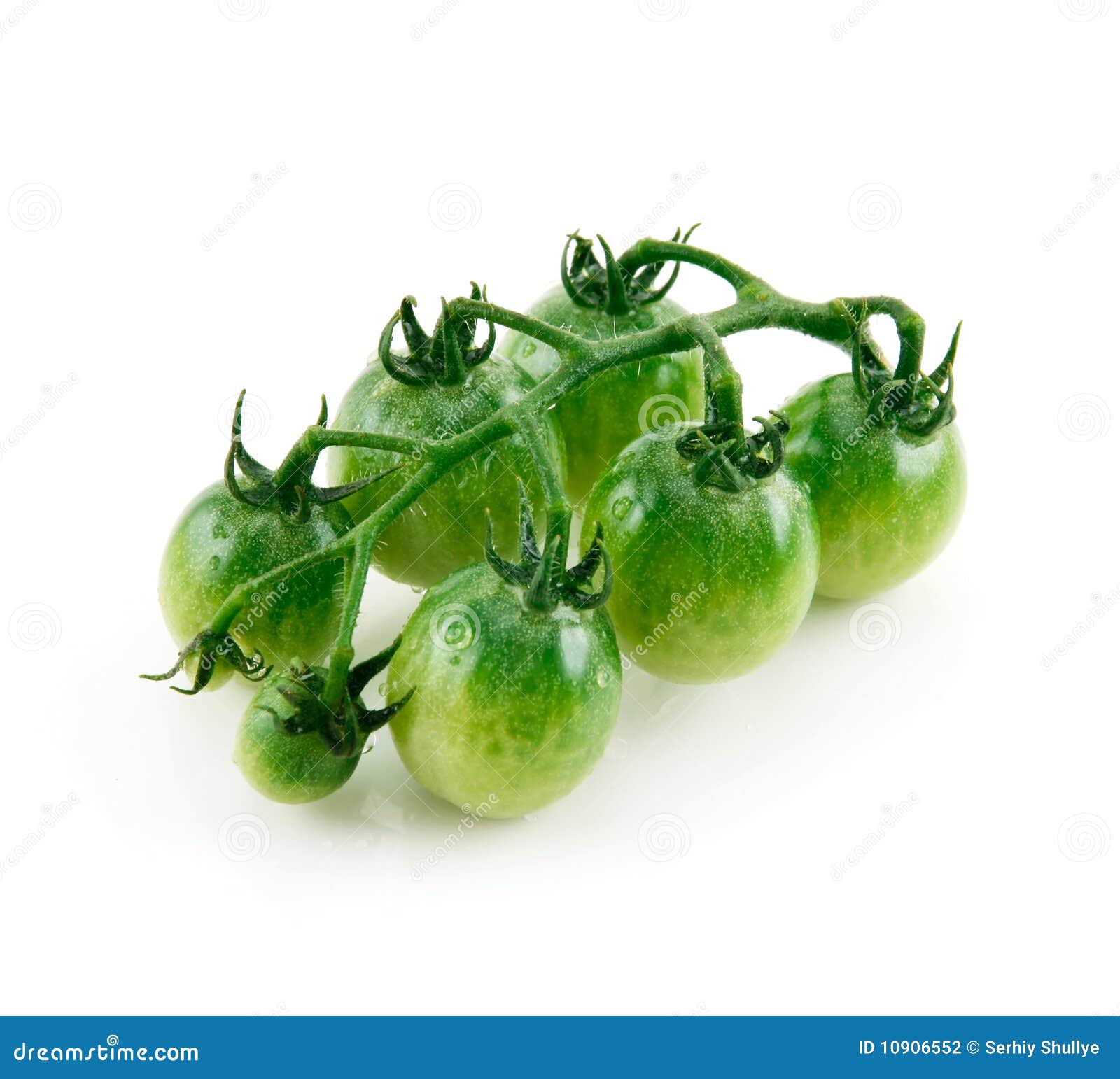 Ripe Wet Green Tomatoes Isolated on White Stock Photo - Image of shot ...