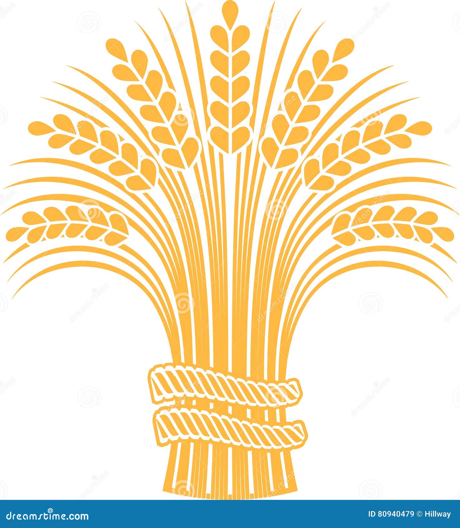 Ripe wheat sheaf. stock vector. Illustration of frame - 80940479