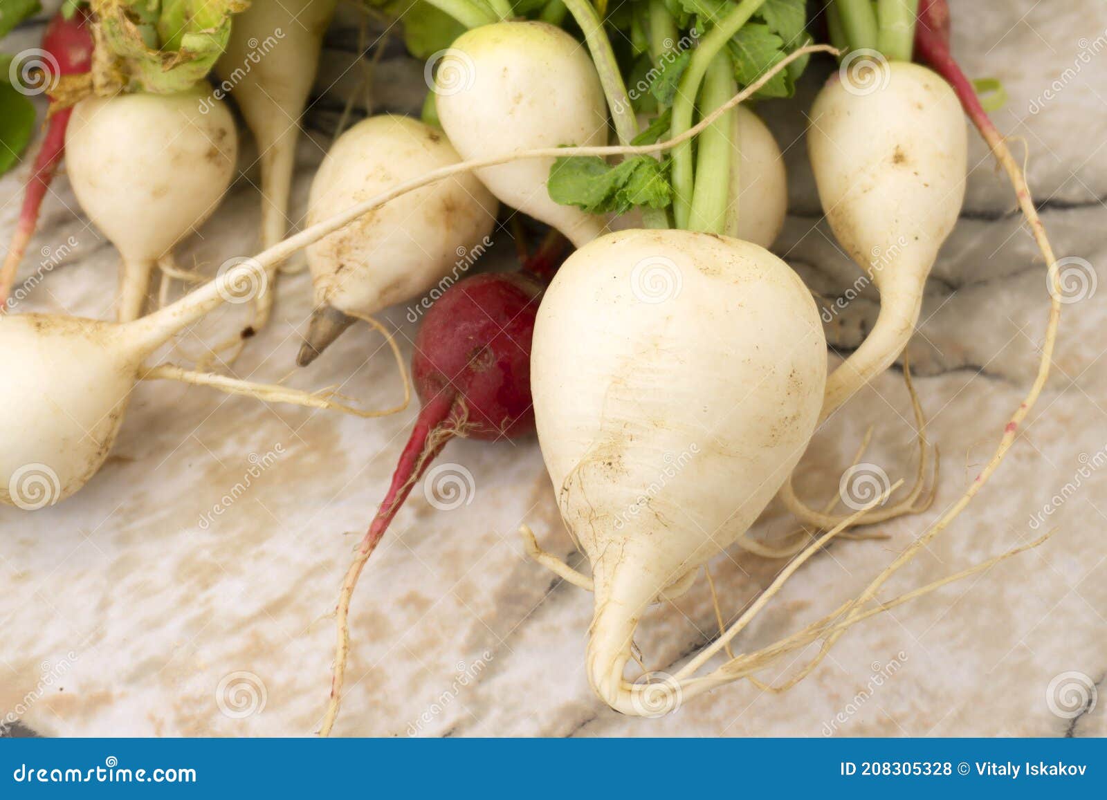 Ripe White Radish Root in the Market Stock Photo - Image of rich ...