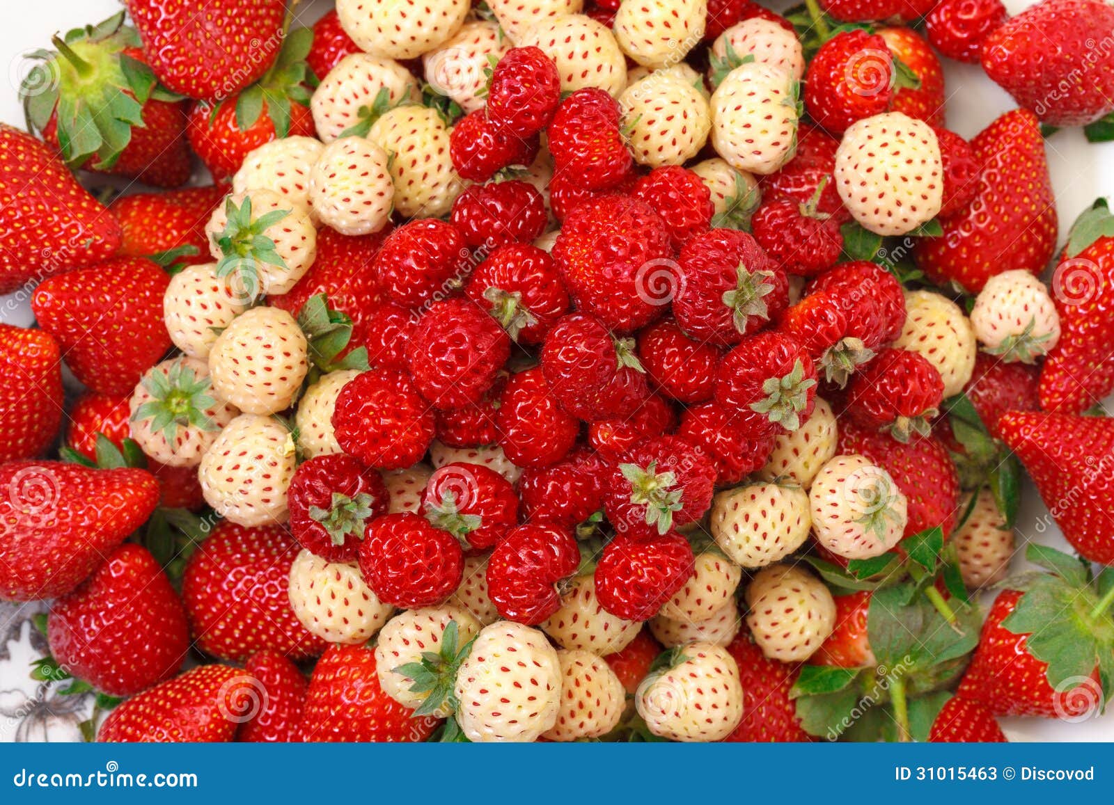 Ripe White and Red Strawberries on Plate Stock Image - Image of white ...