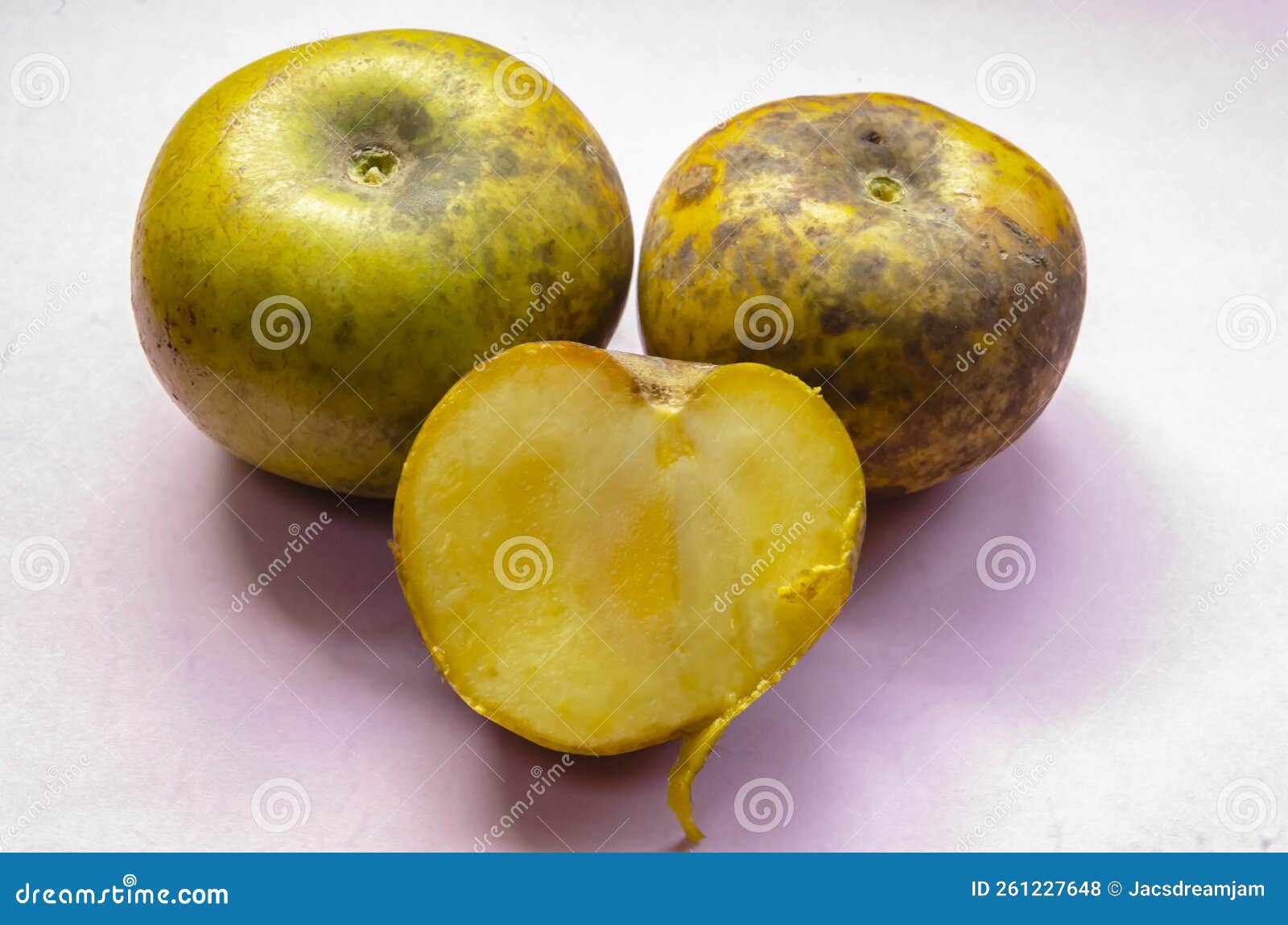 Ripe White Sapote stock photo. Image of nutrition, nature - 261227648