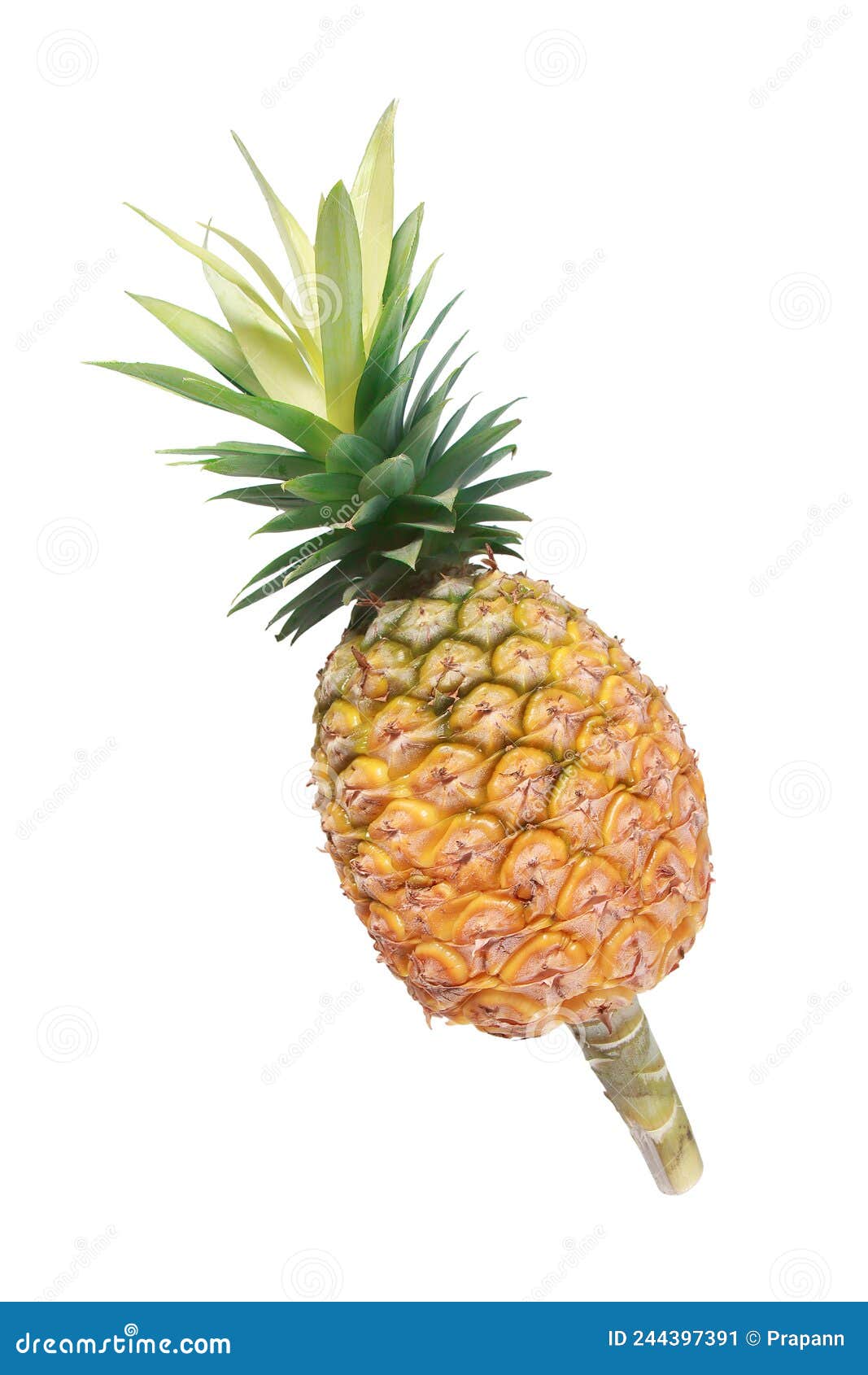 A Ripe Whole Pineapple Isolated on White Stock Image - Image of ...