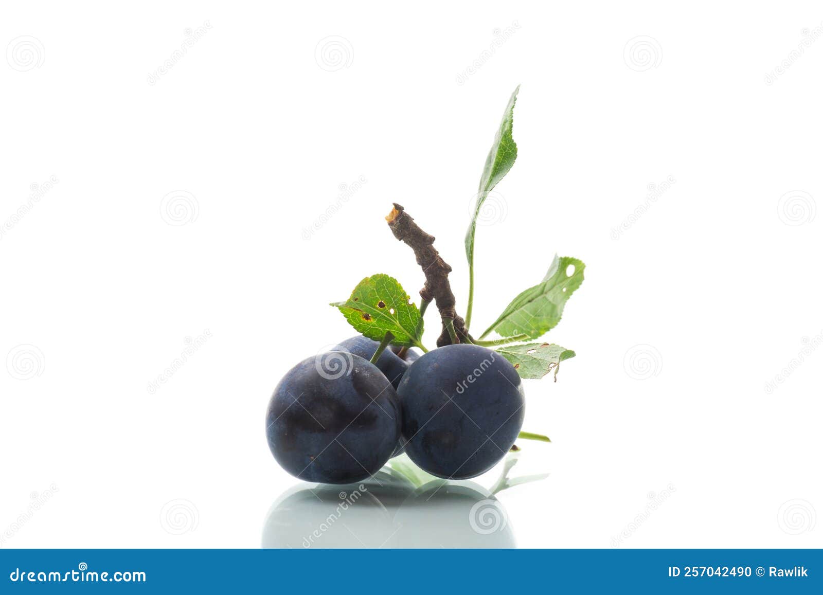 Ripe Whole Plums with Leaves Isolated on White Background. Stock Photo ...