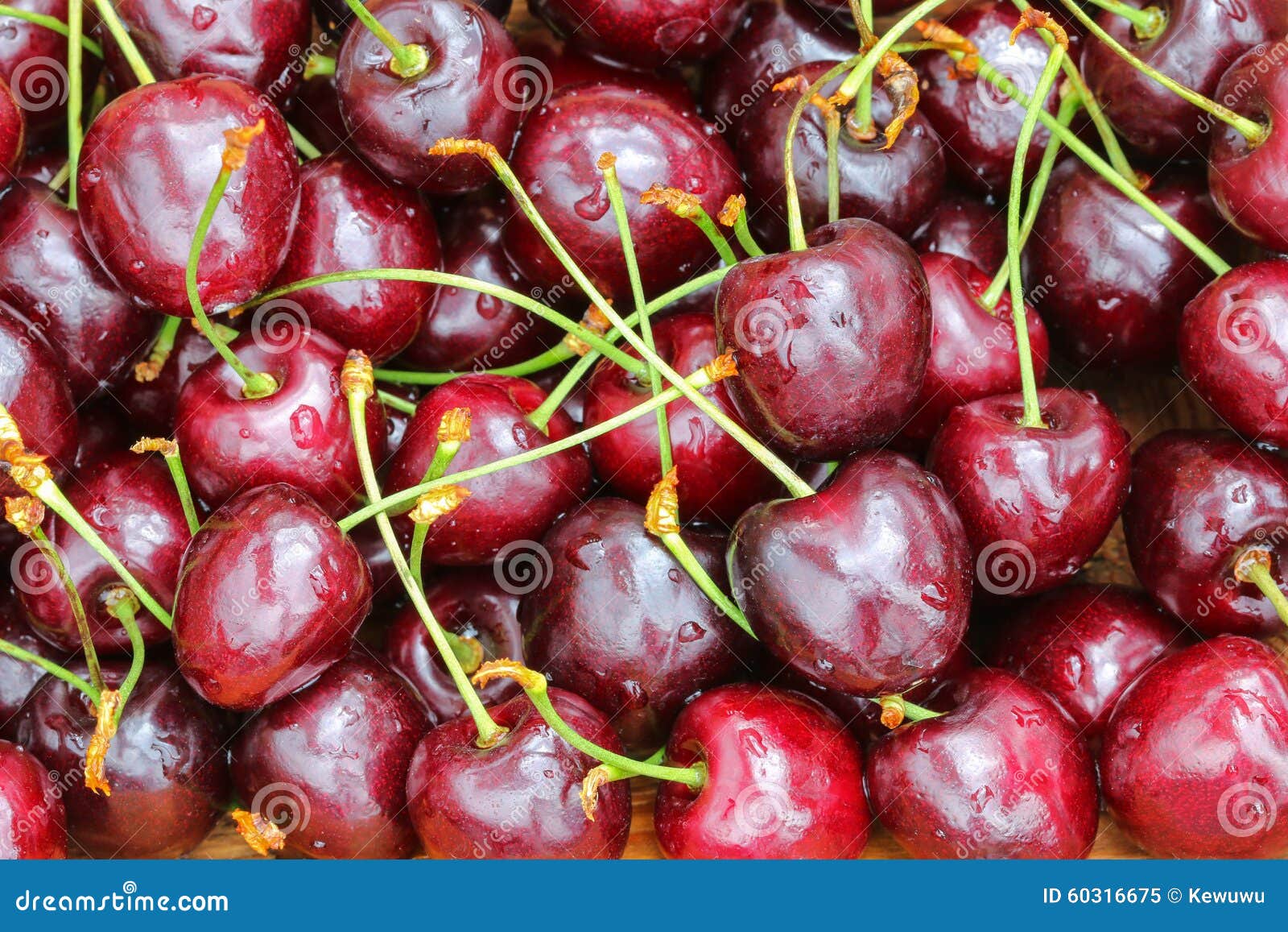 Wet Ripe Wild Cherries And Red Dark Sweet Cherries Royalty-Free Stock ...